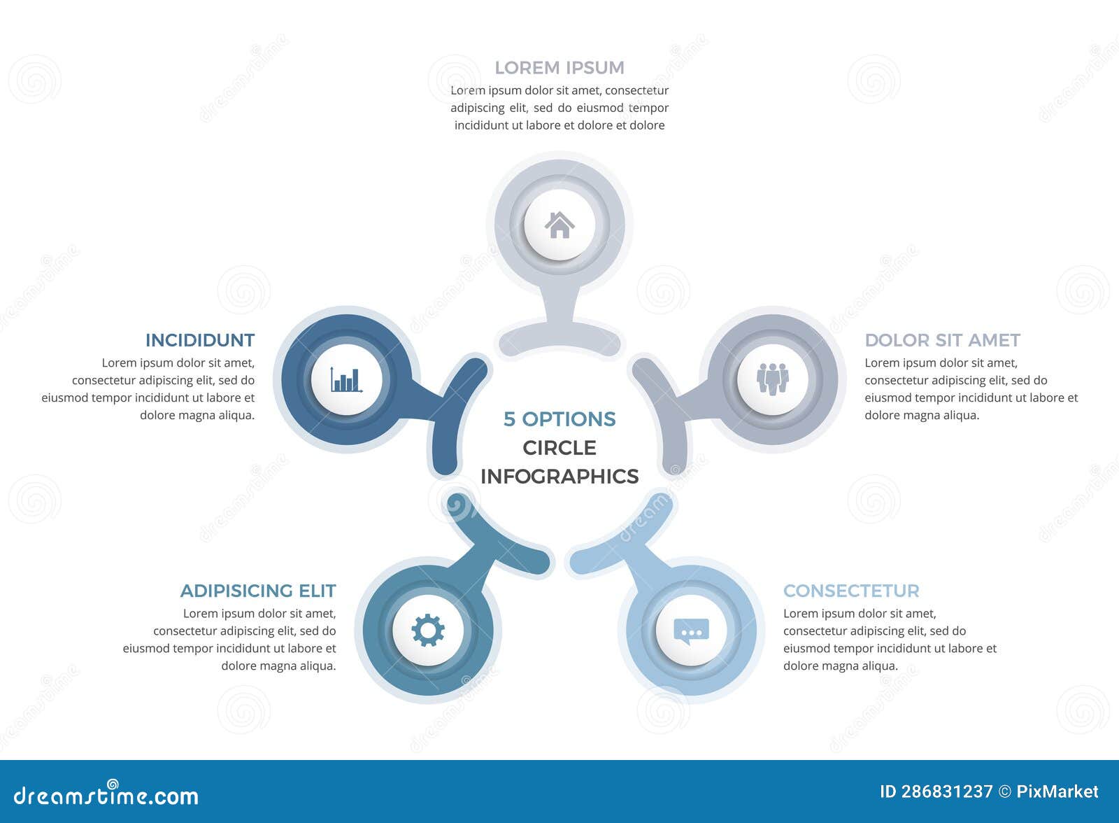 Circle Diagram - Five Elements Stock Vector - Illustration of infograph ...