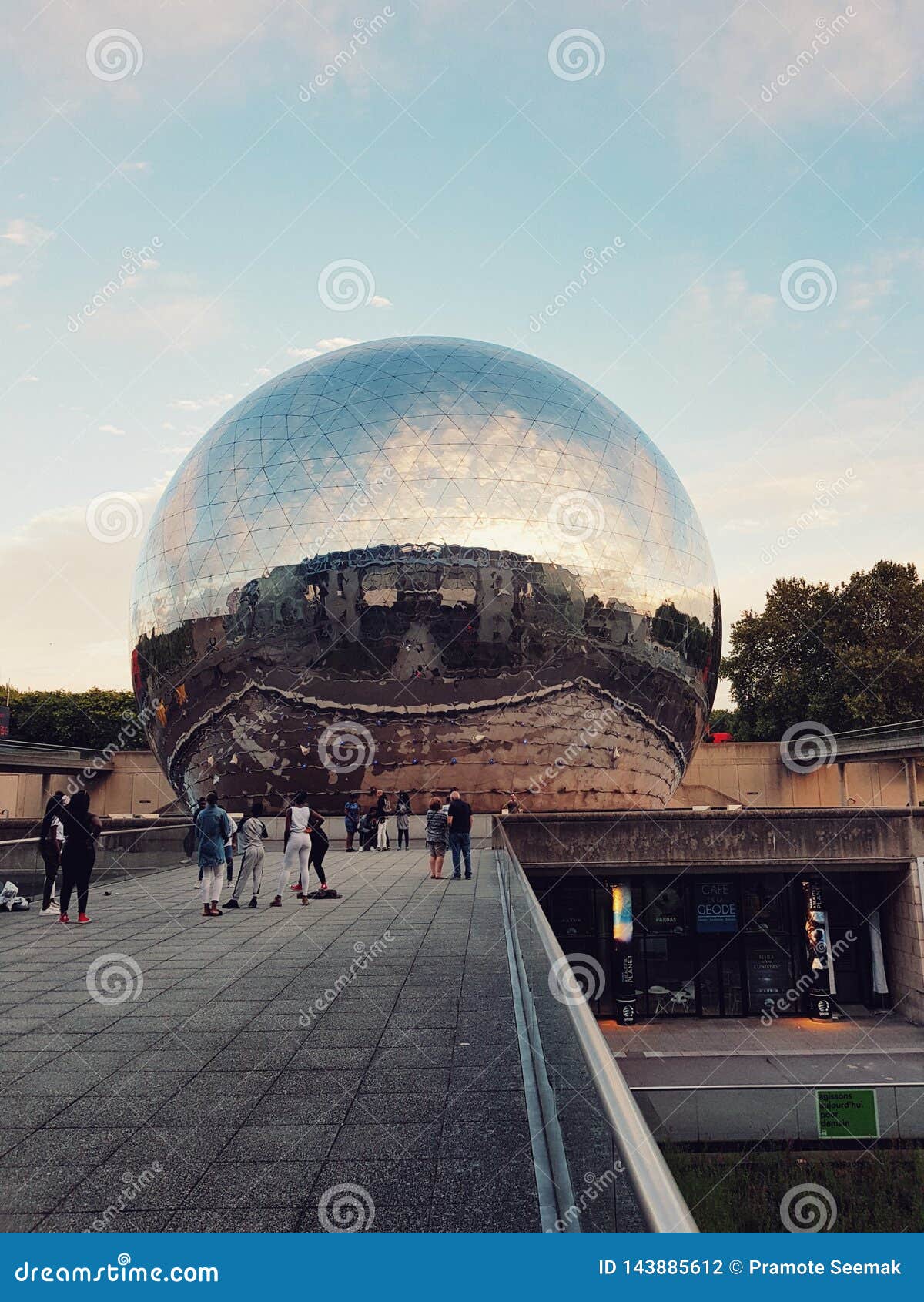 Circle Dome Shape Topiary Tree With Large Roman Style Terracotta Pot ...