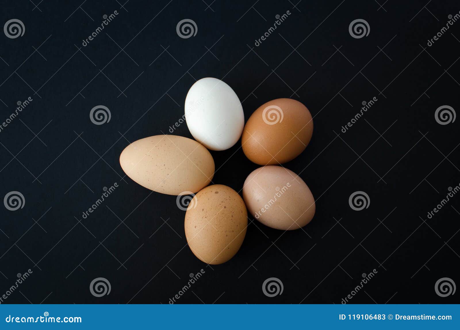 Circle of Eggs stock image. Image of dark, eggs, unity - 119106483