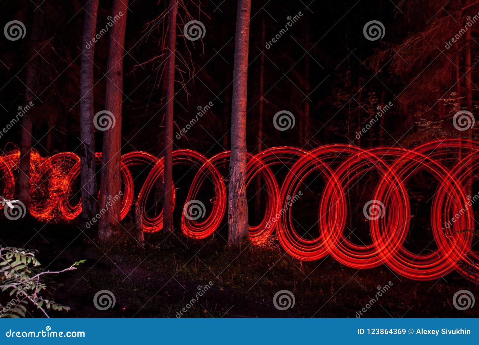 Circle Fireshow at forest stock image. Image of curve - 123864369
