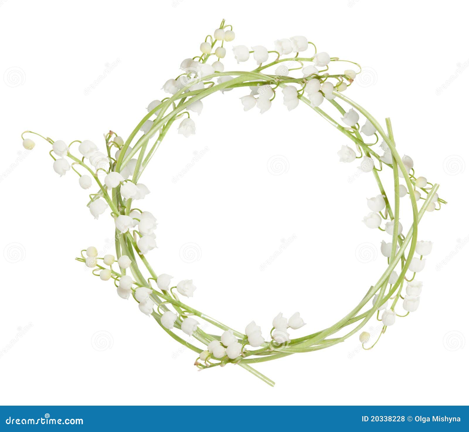 Circle Frame Composition Chilli Peppers And Spices On The Black ...