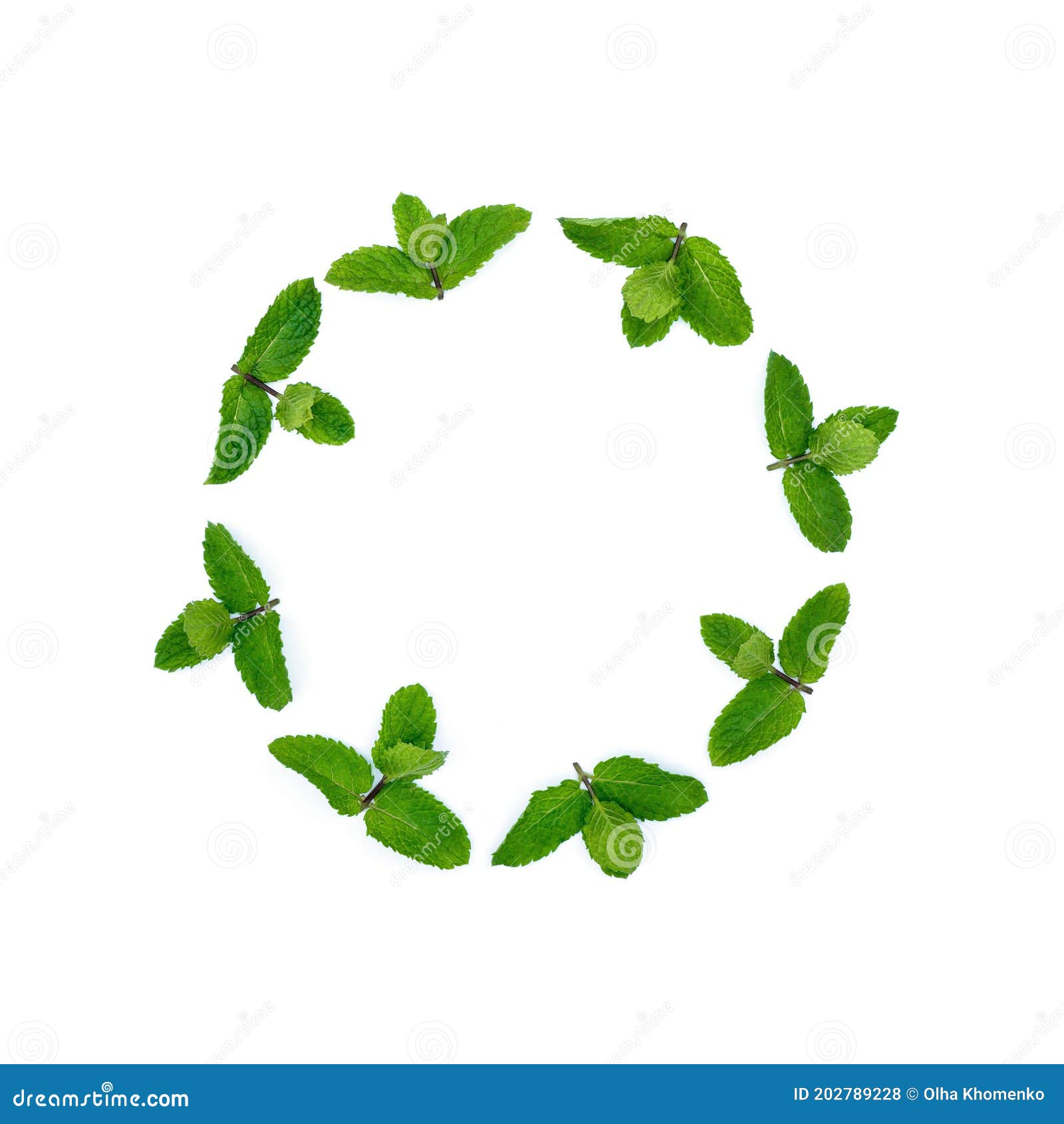 Circle Frame Made of Fresh Mint Leaves Isolated on White Background ...