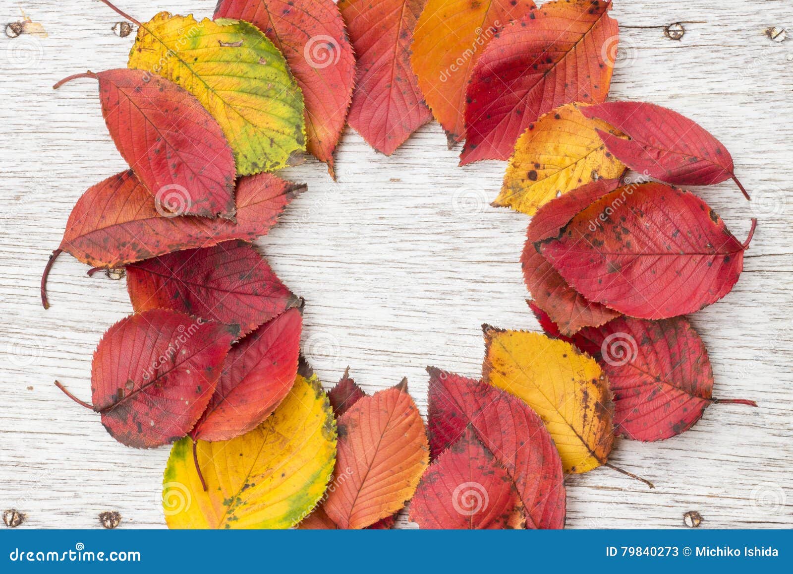 Circle Frame Made of Red Fall Leaves on a Wooden Board Stock Image ...