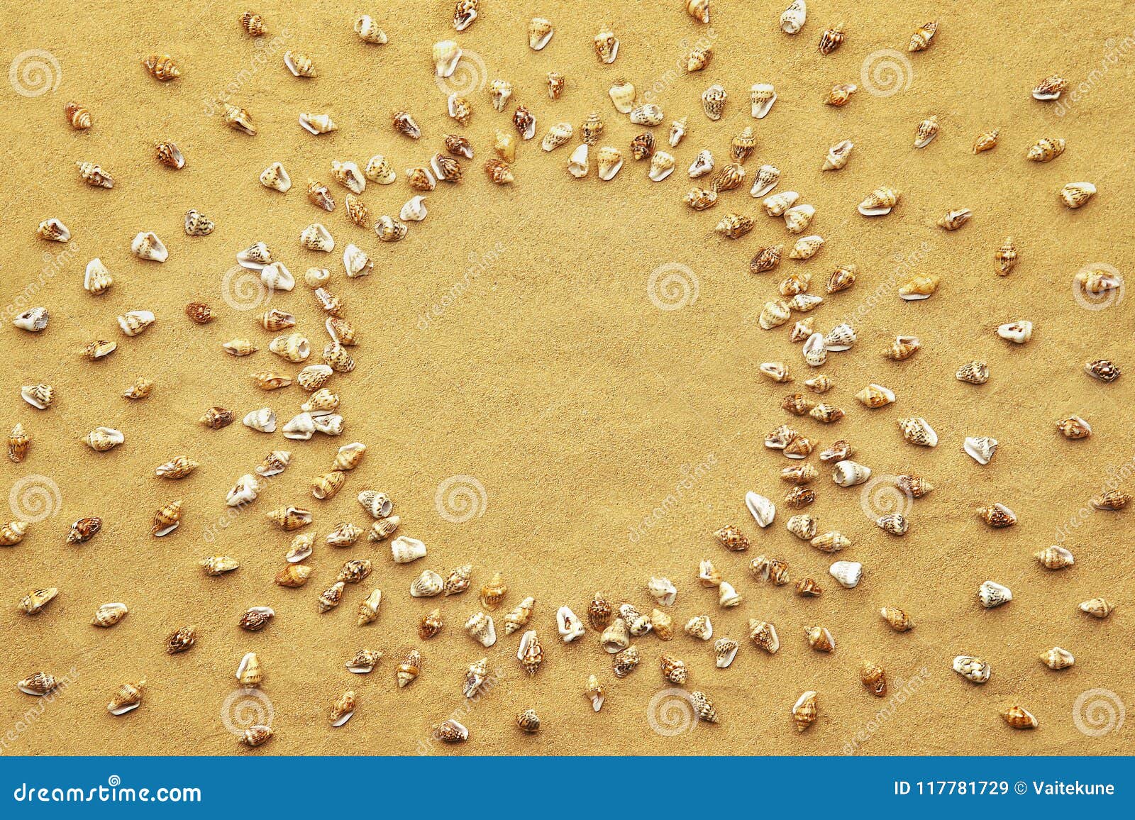 Circle Frame Made of Tiny Sea Shells on Beach Sand Background. Stock ...