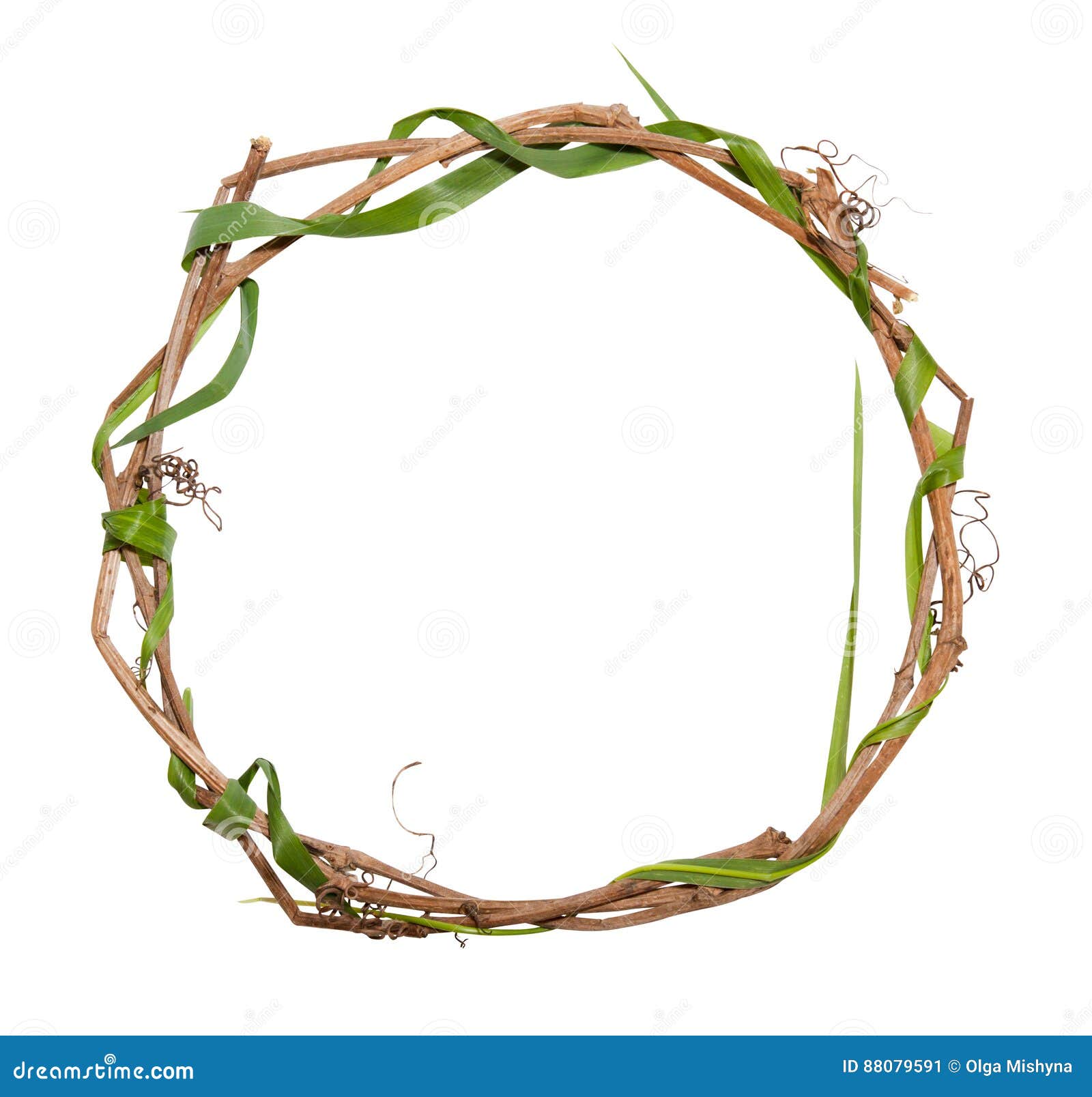 Circle Frame from Spring Branch and Grass Stock Image - Image of ...