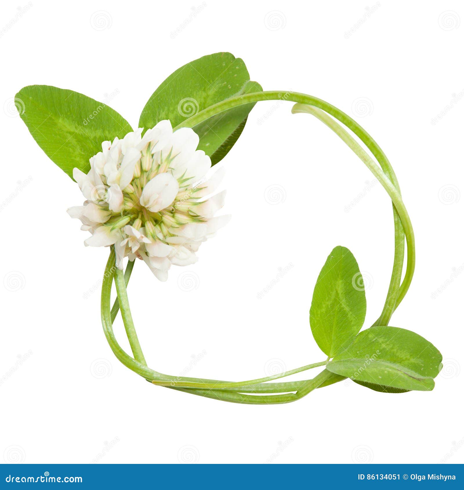 Circle Frame from Spring Flowers Stock Image - Image of flower, grass ...