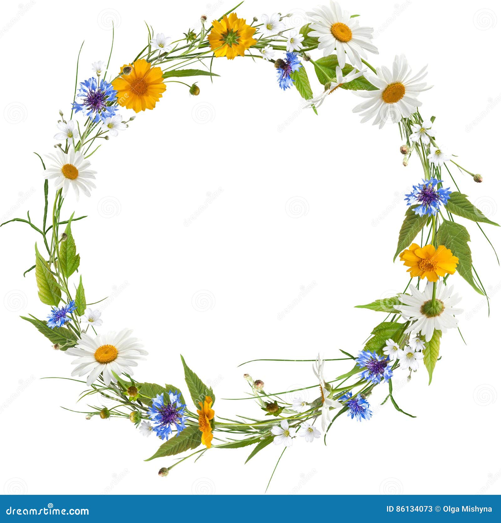 Circle Frame from Spring Flowers Stock Image - Image of floral, garden ...