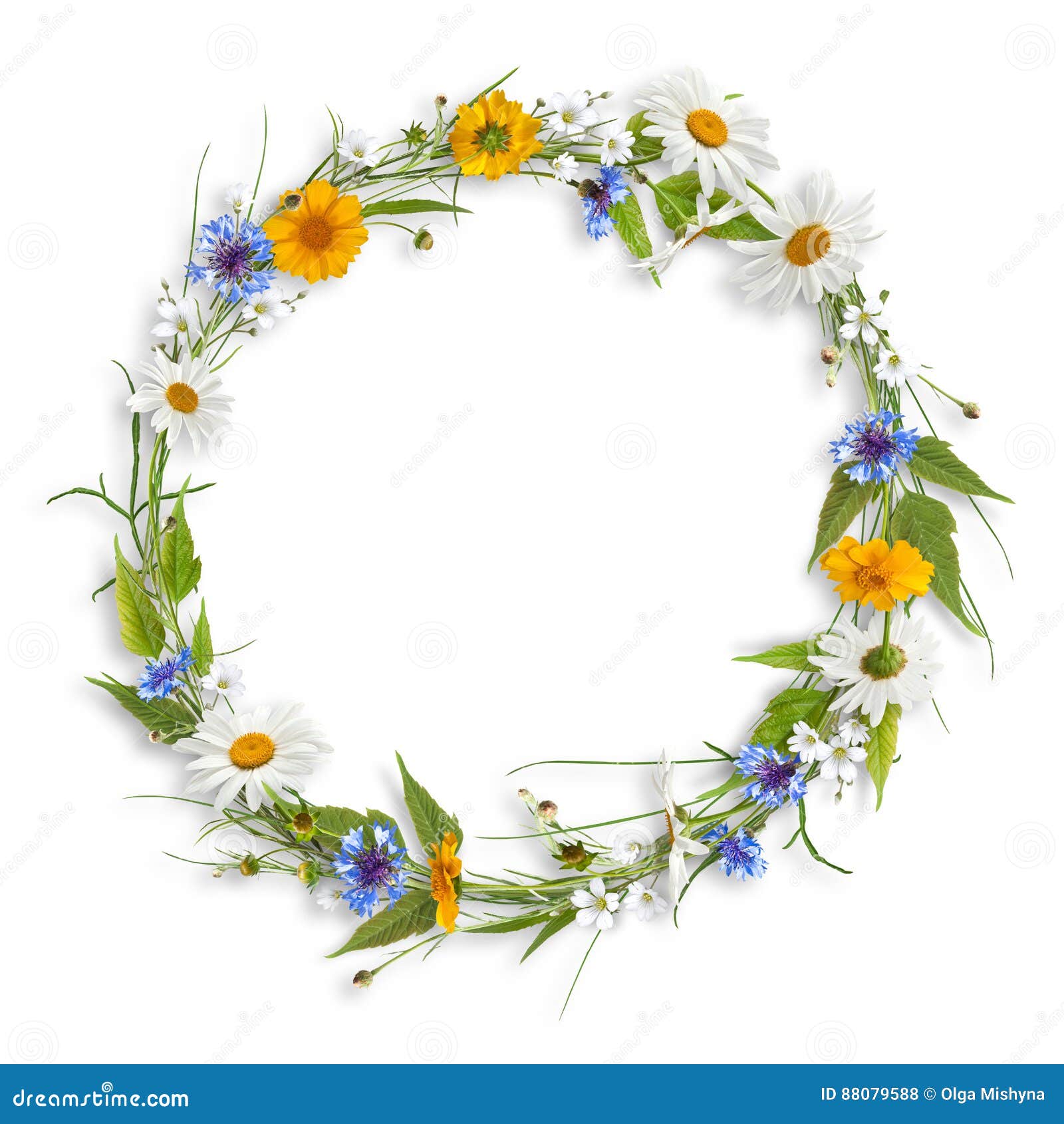 Circle Frame from Spring Flowers Stock Photo - Image of daisy, botany ...