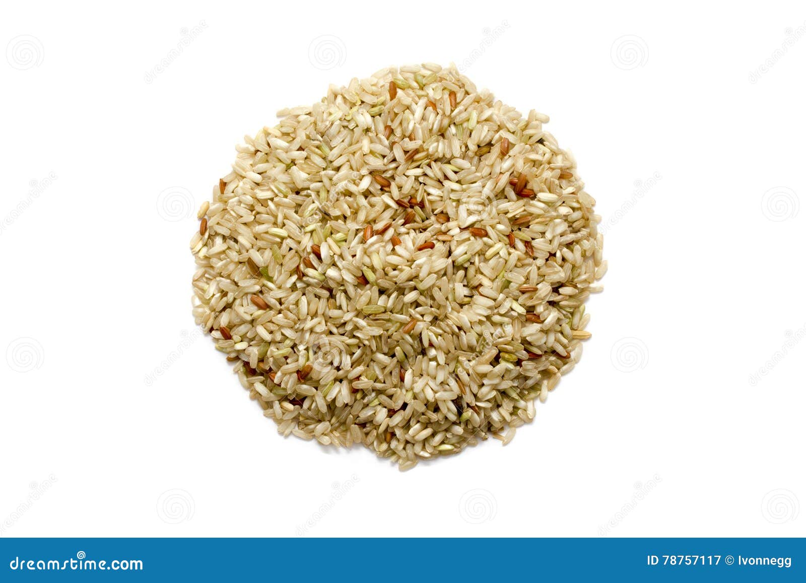 Circle of Grain Rice Isolated, White Background Stock Image - Image of ...