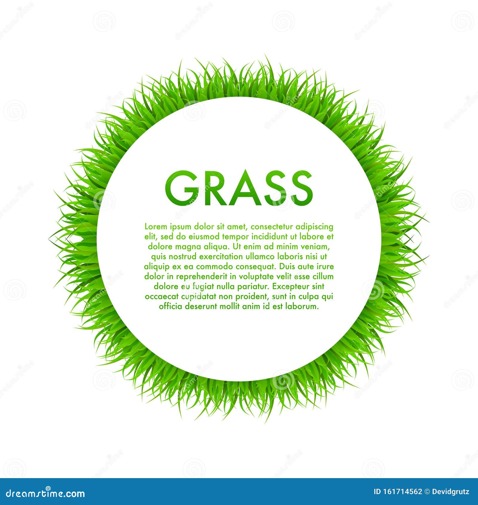 Circle with Grass, Frame. Vector Stock Illustration Stock Vector ...