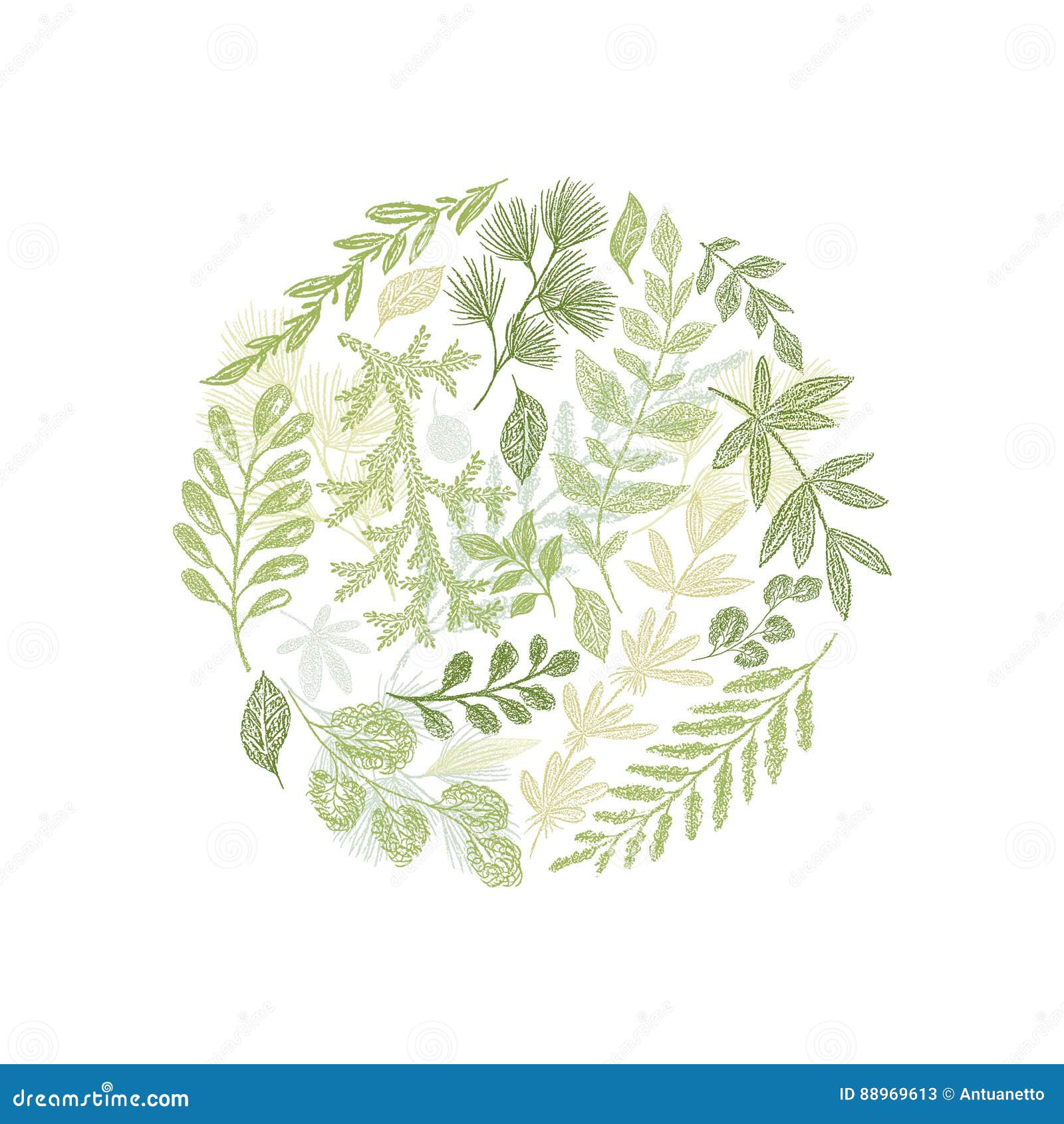 Circle Green Floral Hand Drawn Composition Vector Stock Vector ...