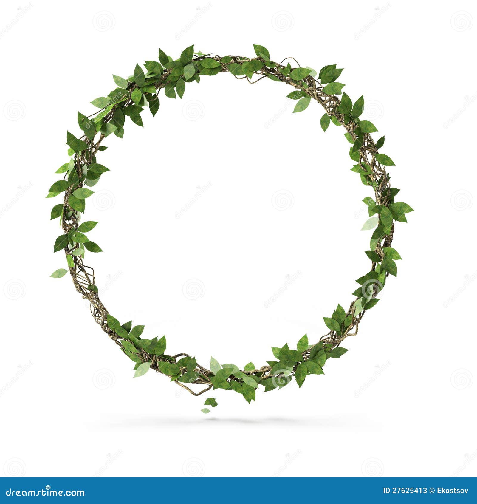 Circle of green leafs stock image. Image of isolated - 27625413