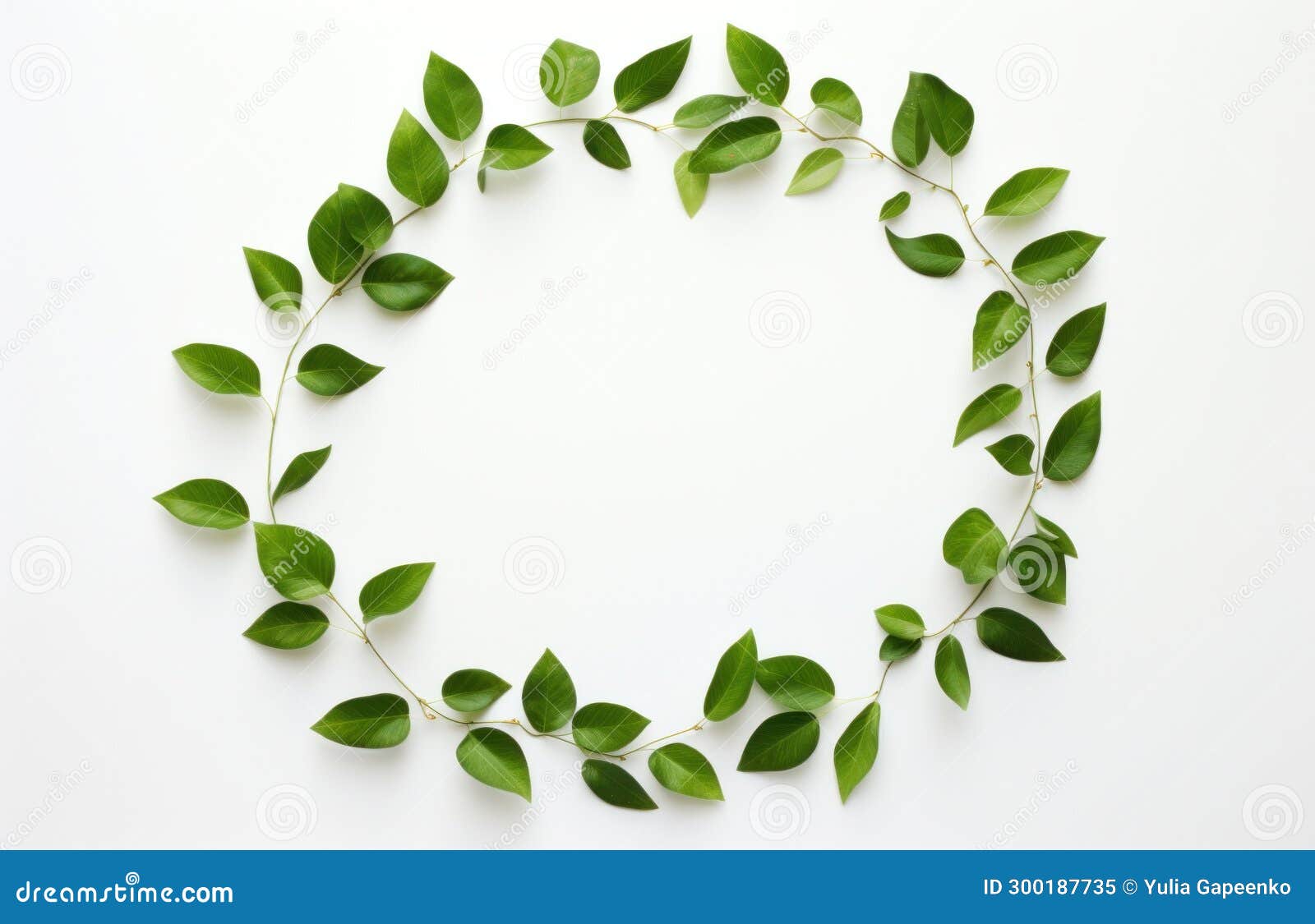 A Circle of Green Leaves Made on a White Surface Stock Illustration ...