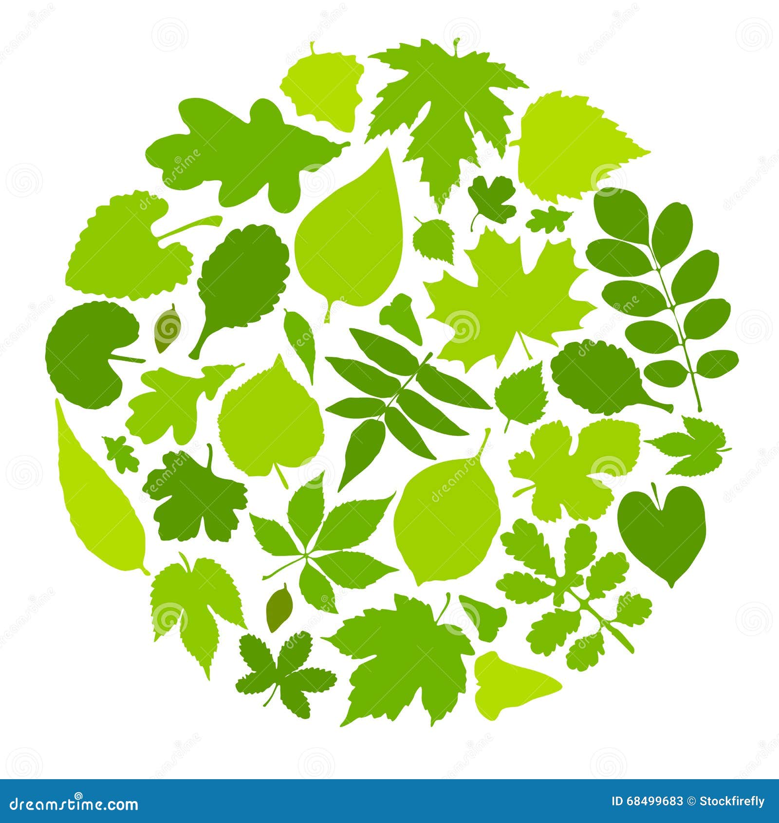 Circle of green leaves. stock vector. Illustration of isolated - 68499683