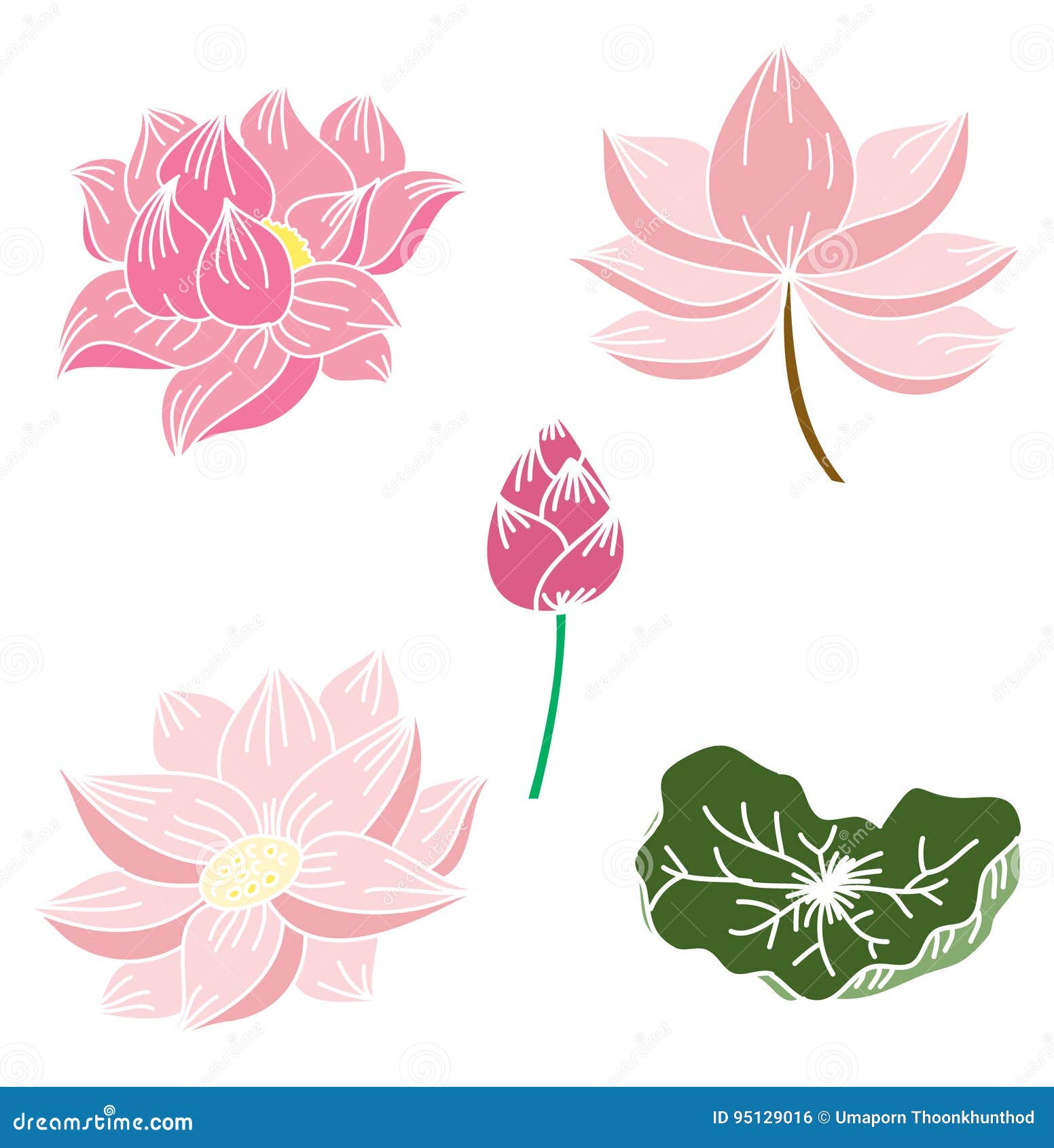 Circle Hand Drawn Lotus Flower Stock Vector - Illustration of asian ...