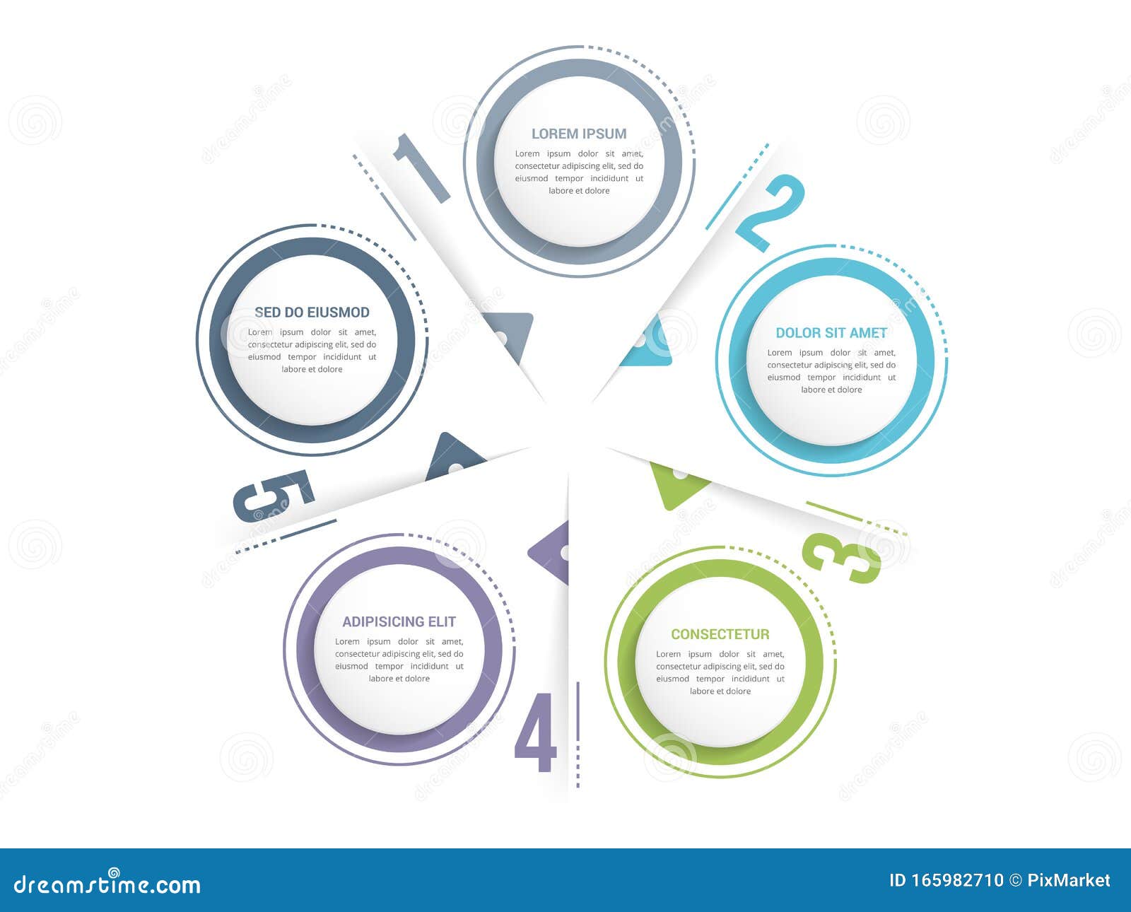 Circle Infographics - Five Elements Stock Vector - Illustration of ...