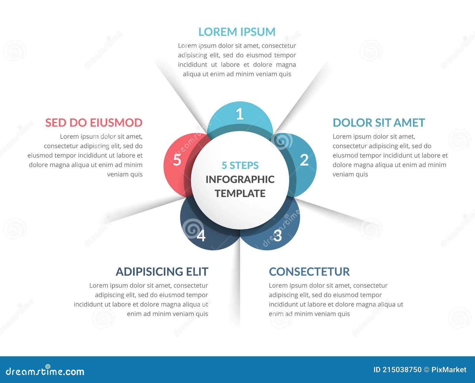 Circle Infographics - Five Elements Stock Vector - Illustration of ...