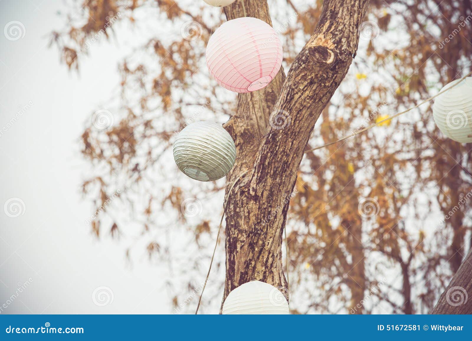 Circle Lamp under tree stock image. Image of nature, circle - 51672581