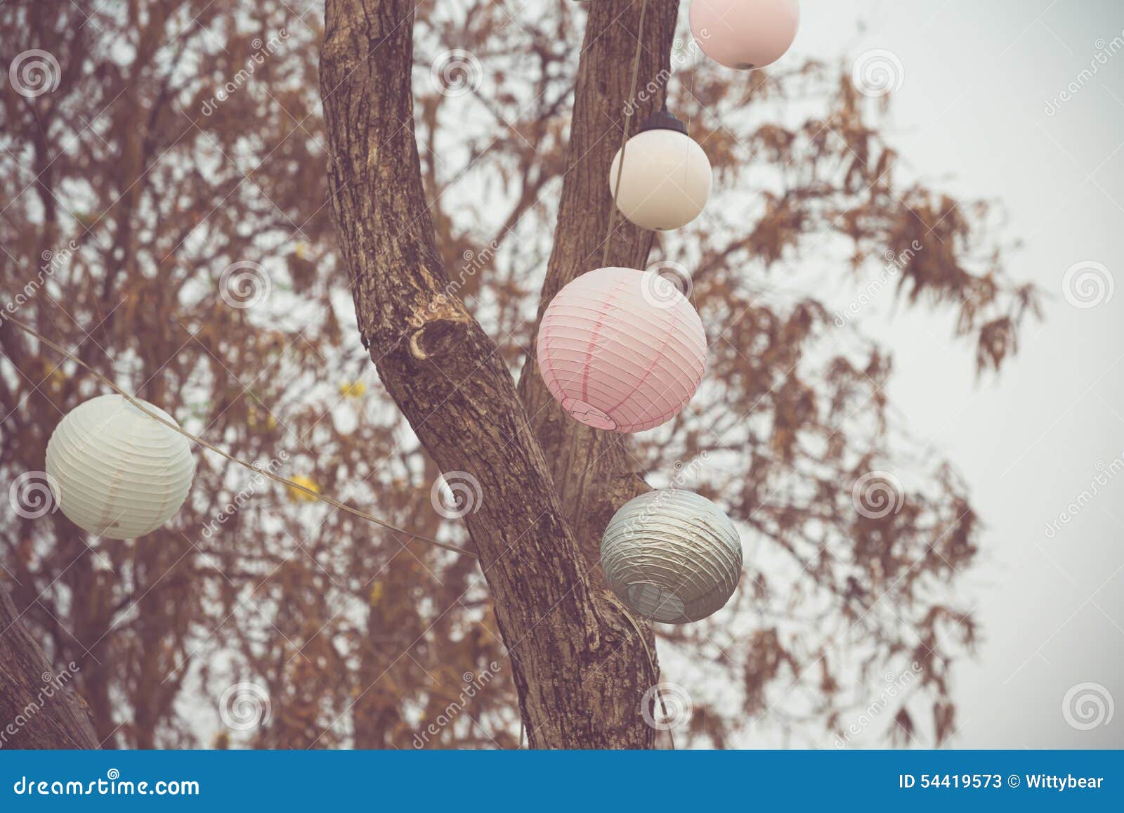 Circle Lamp under tree stock image. Image of color, plant - 54419573