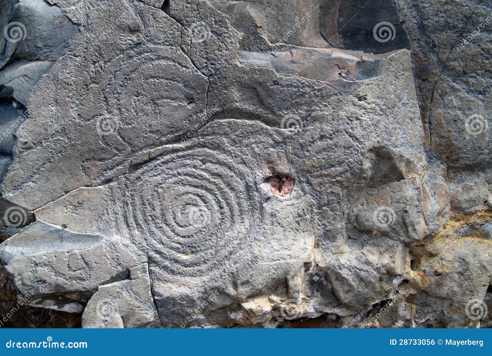 Circle of life stock photo. Image of traditional, inhabitants - 28733056