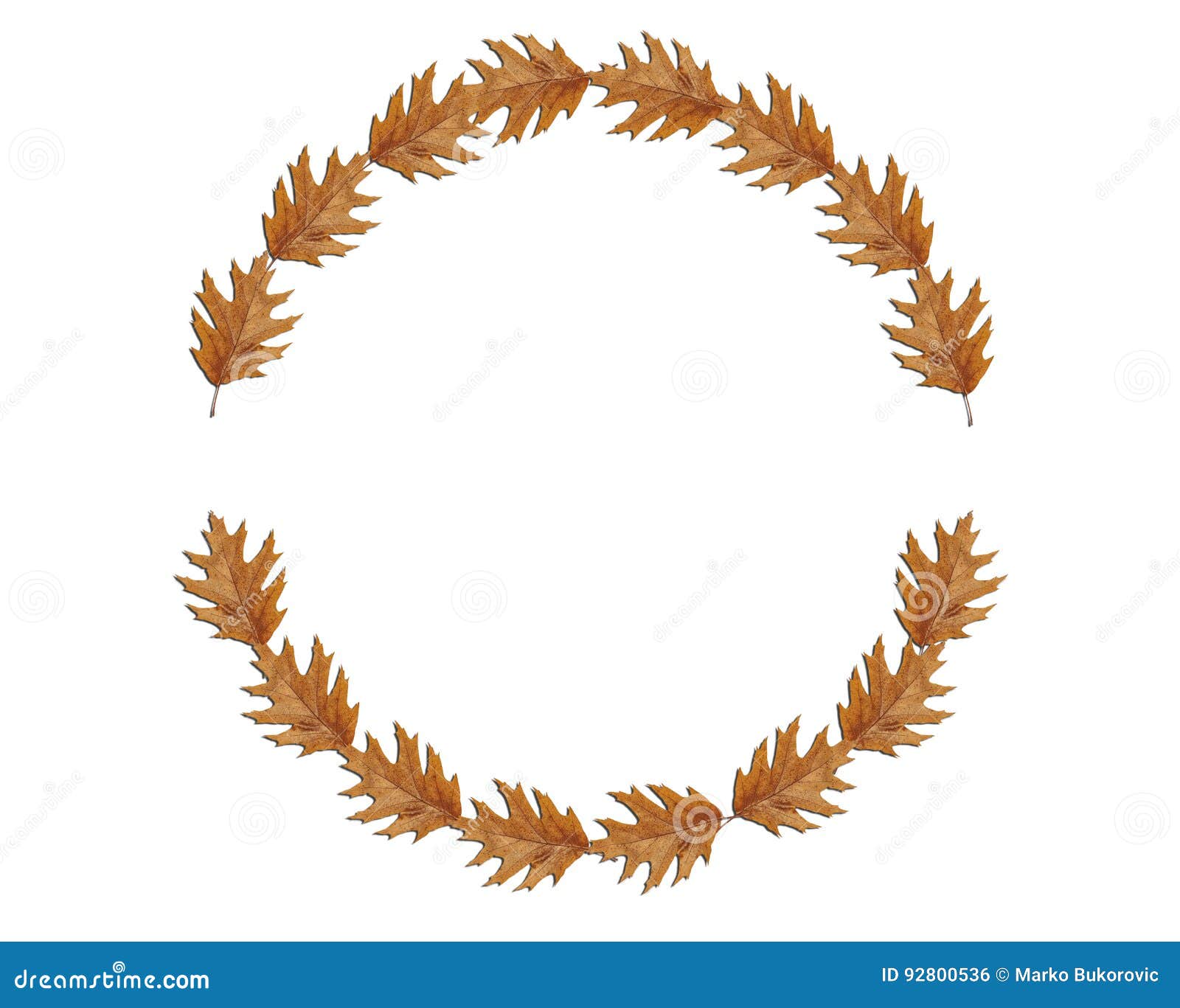 Brown Circle Border Stock Photos - Download 2,229 Images