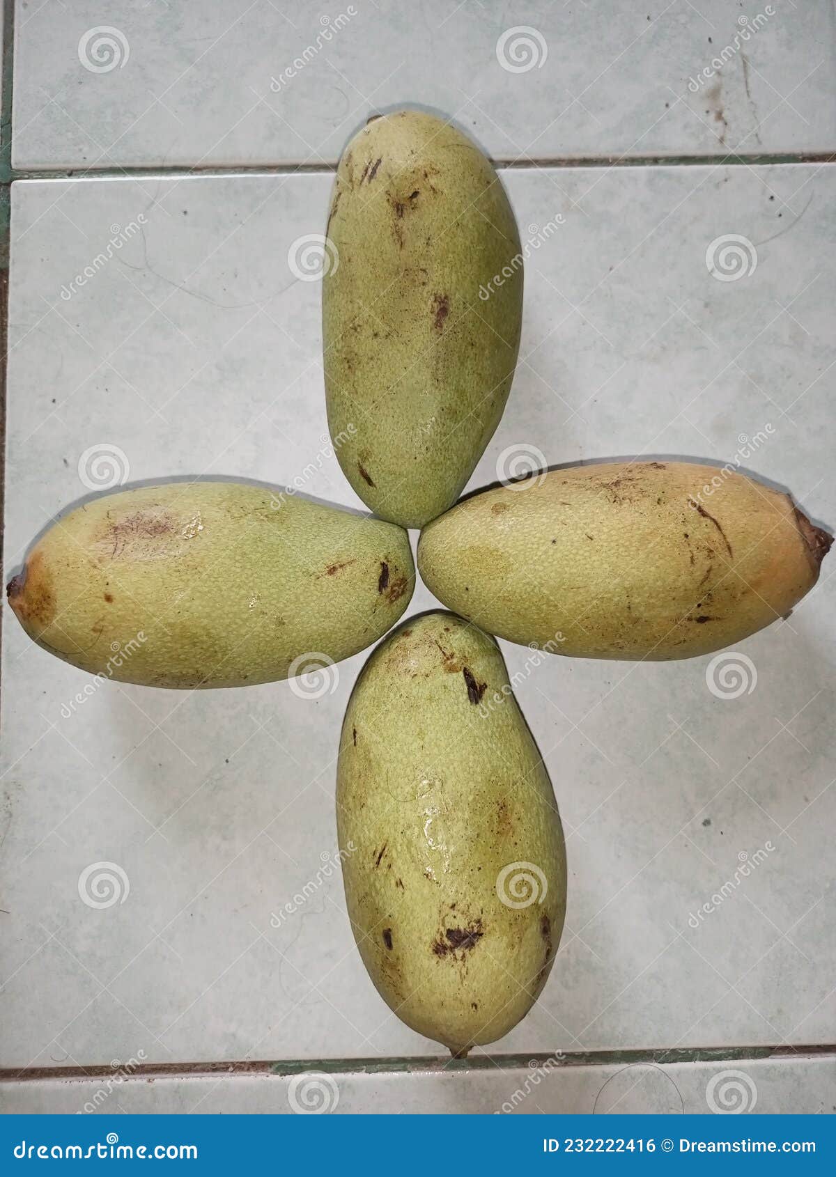 Circle of manggo stock photo. Image of manggo, agriculture - 232222416