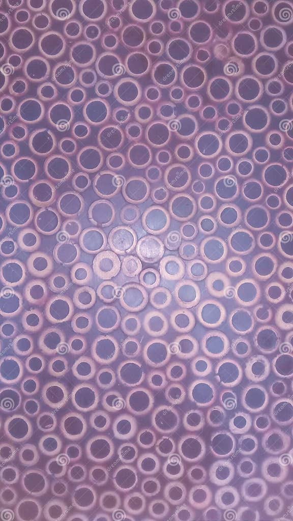 Circle Natural Pattern of Table Surface. Wood Craft with Nice Finishing ...