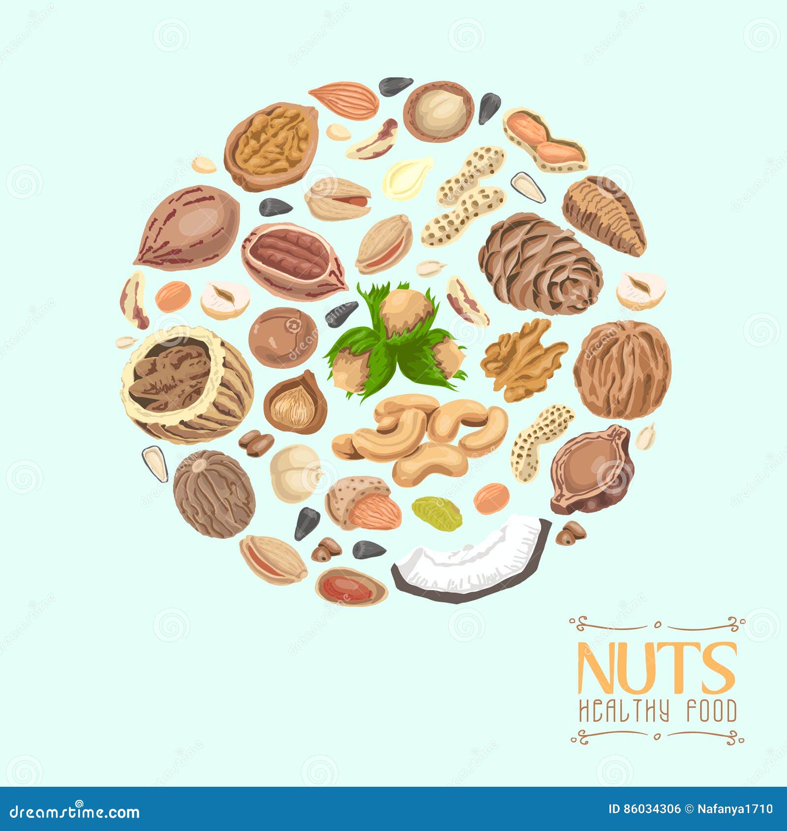 Circle of nuts and seeds stock vector. Illustration of nutmeg - 86034306
