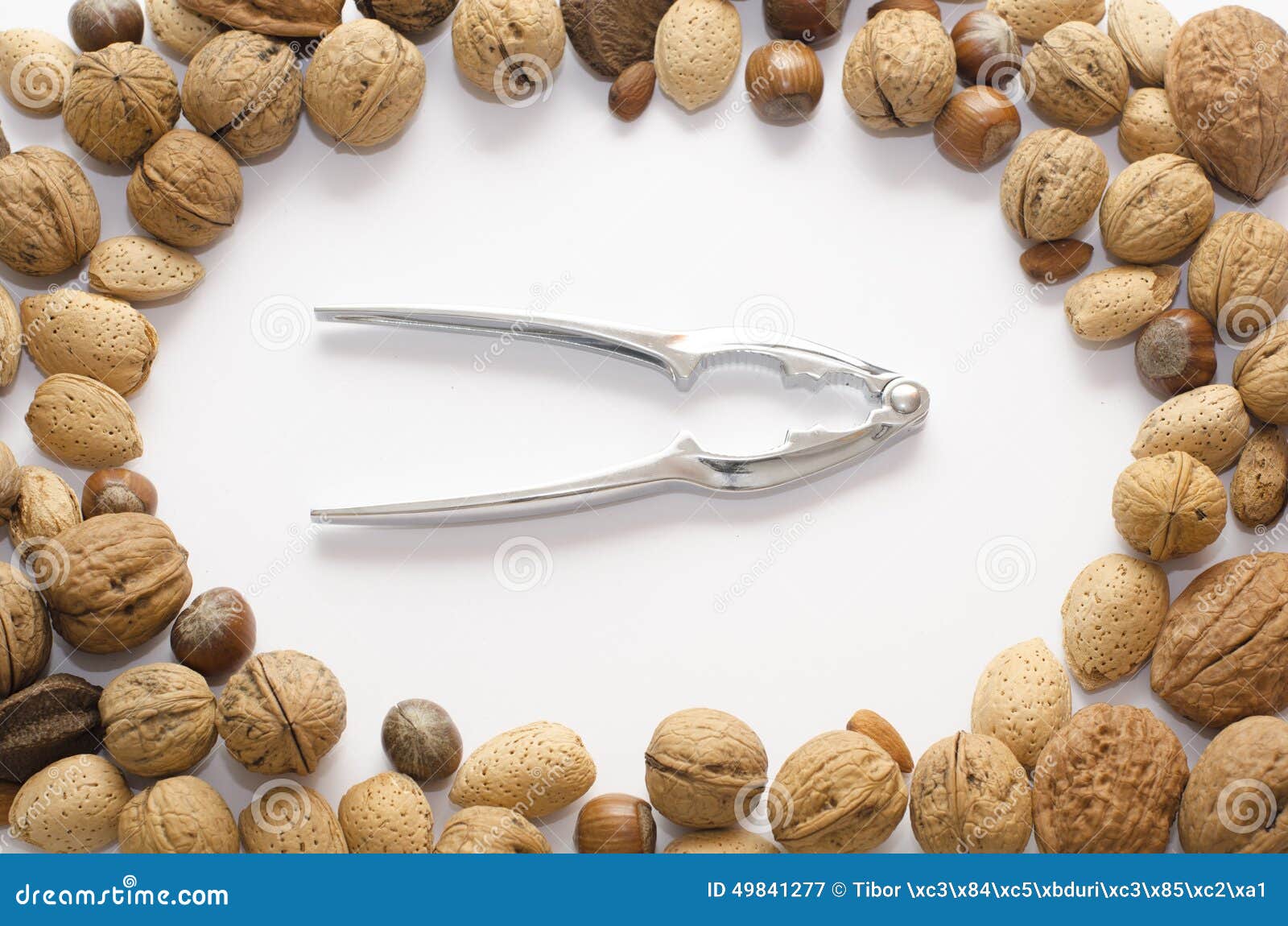 Circle of nuts stock image. Image of walnut, collage - 49841277