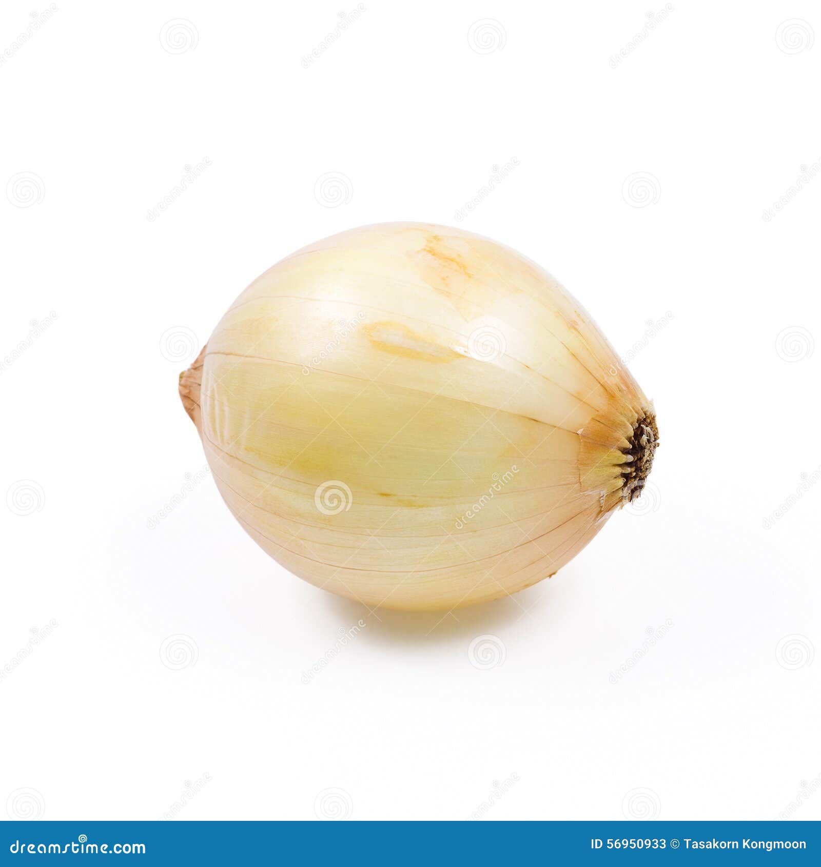 Circle Onion Isolated on White Stock Image - Image of onion, grocery ...