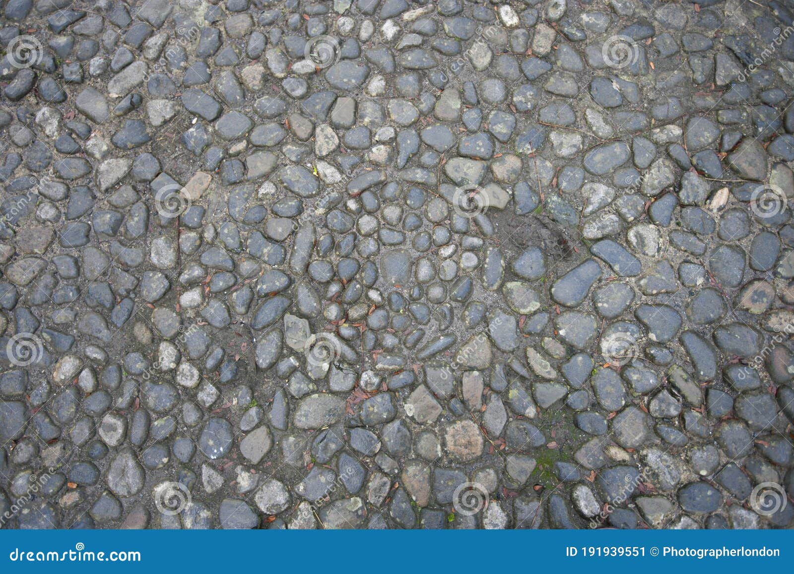 Circle Pattern in Stone Path Stock Image - Image of city, background ...
