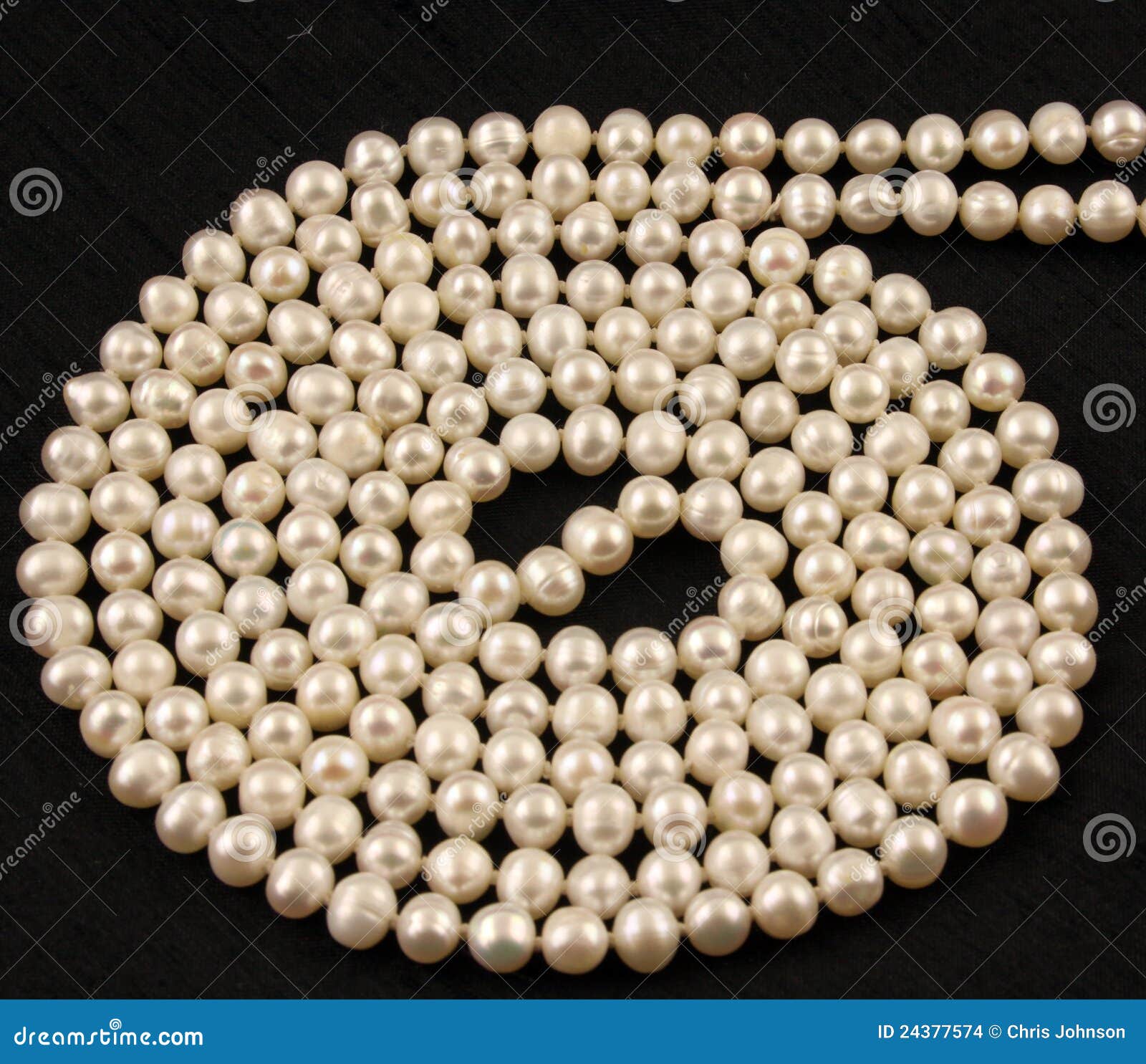 Circle of Pearls stock photo. Image of pearls, cultured - 24377574