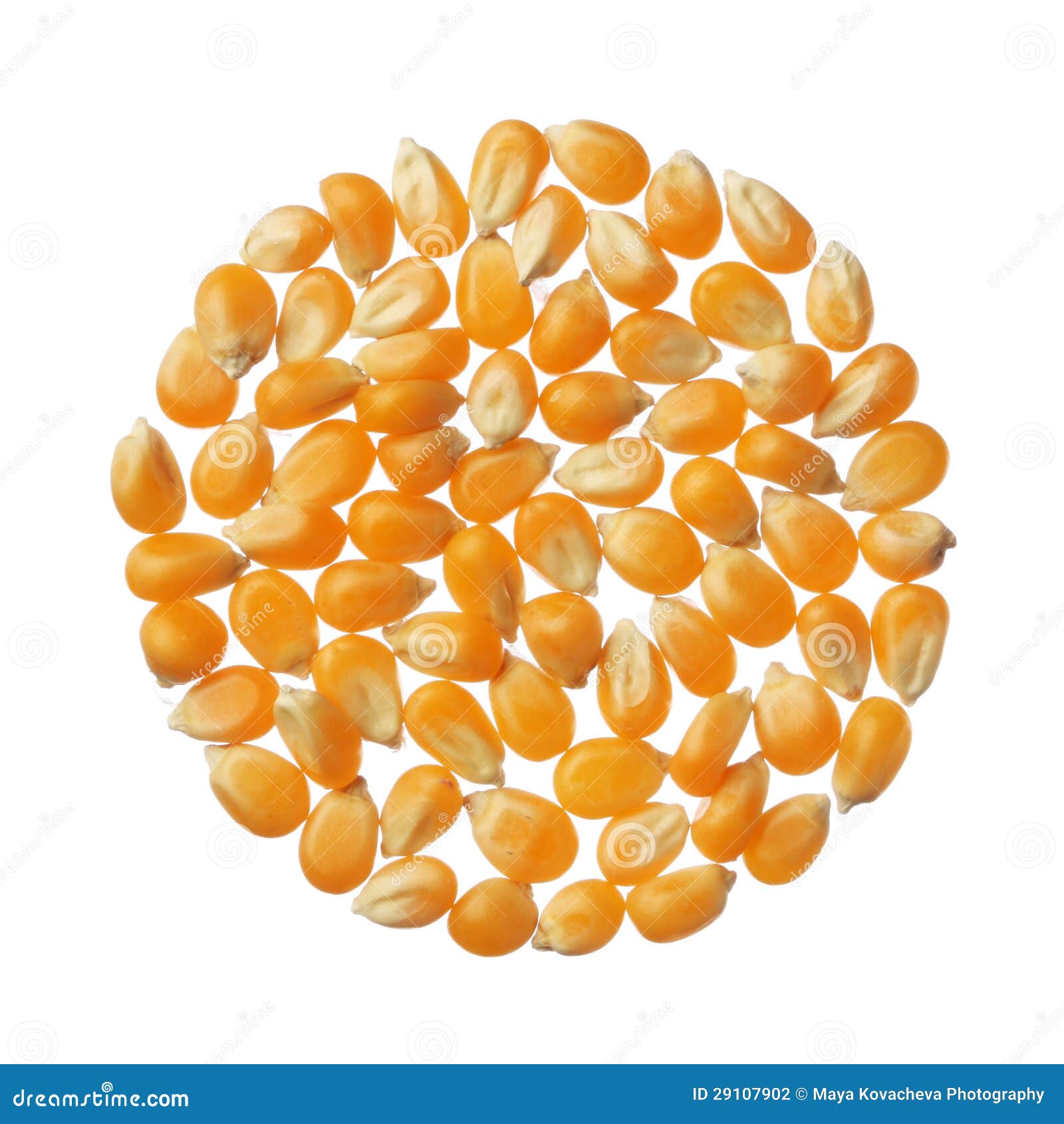 Circle Popcorn Kernels Isolated White Background Stock Photos - Free ...