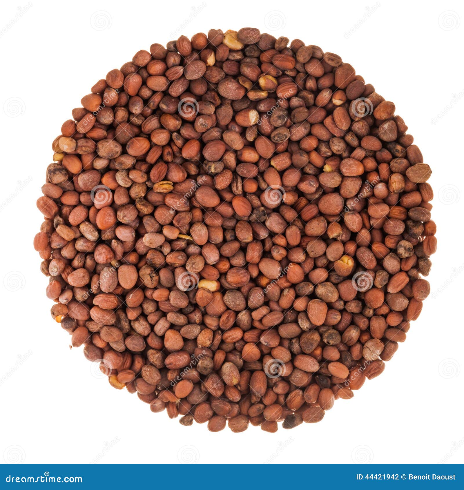 Circle of Radish Seeds Isolated on White Stock Photo - Image of ...