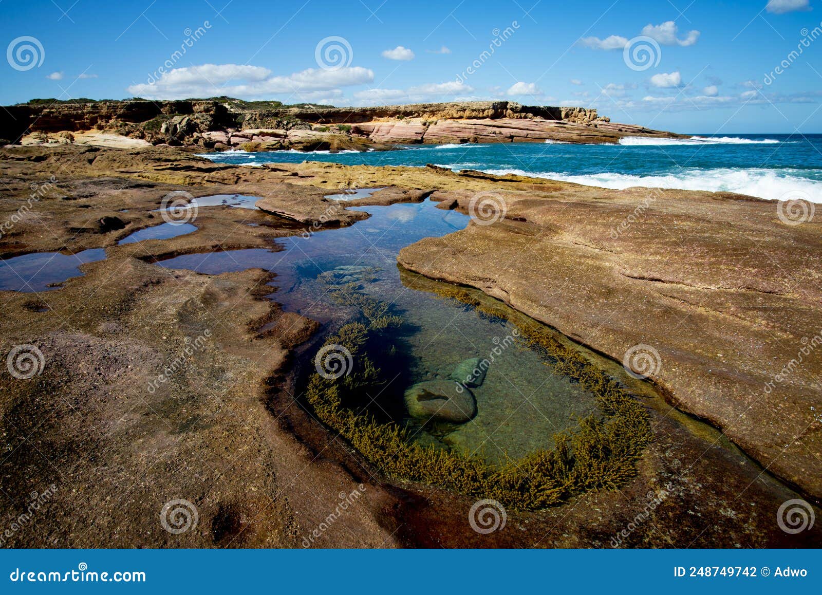 Circle Rock Pools stock photo. Image of pool, ocean - 248749742