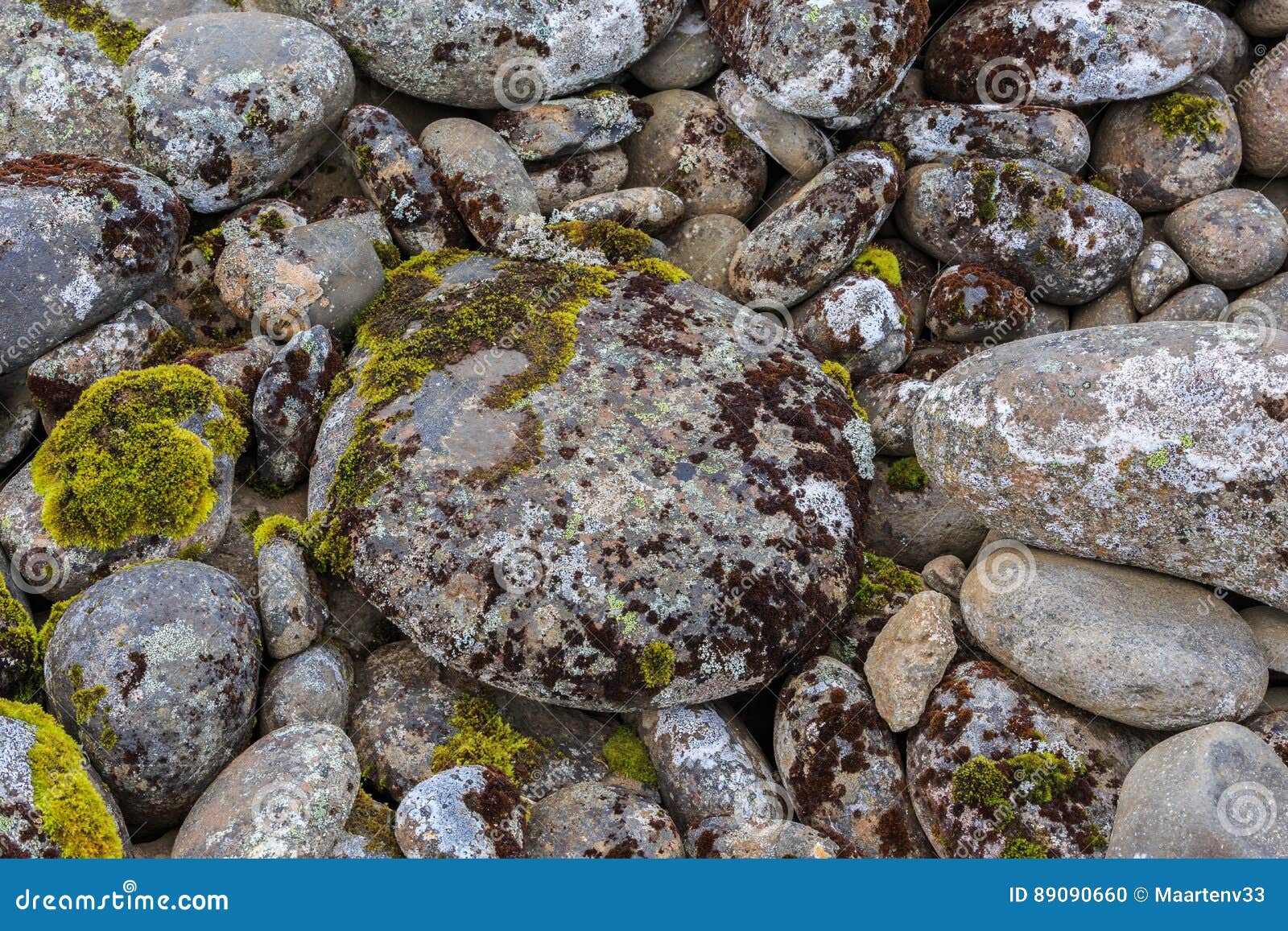 A Circle of Rocks Covered with Colored Mosses. Stock Photo - Image of ...