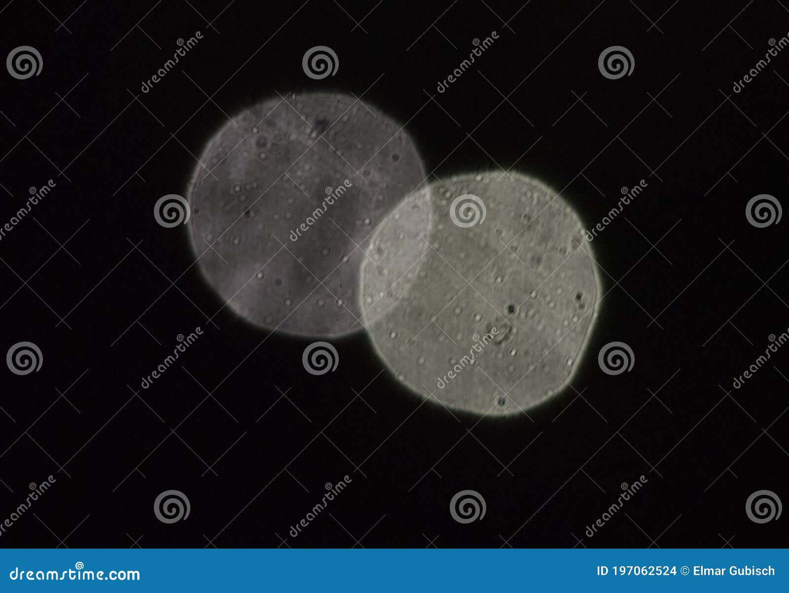 Circle or Round Shaped Object, Light Design Stock Photo - Image of ...