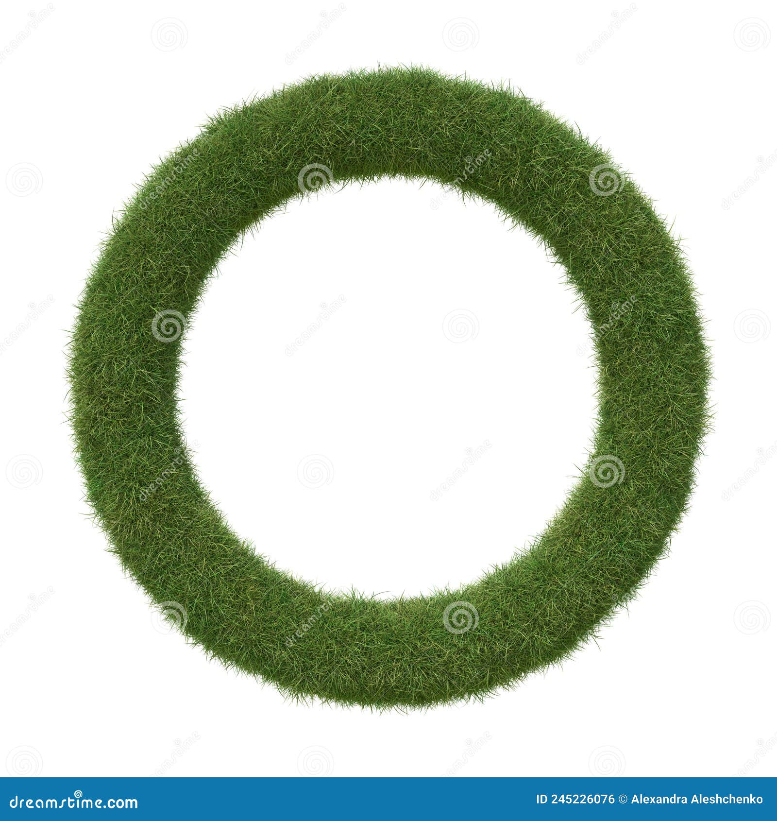 Circle Shape Frame Made of Grass, Isolated on White. Stock Photo ...
