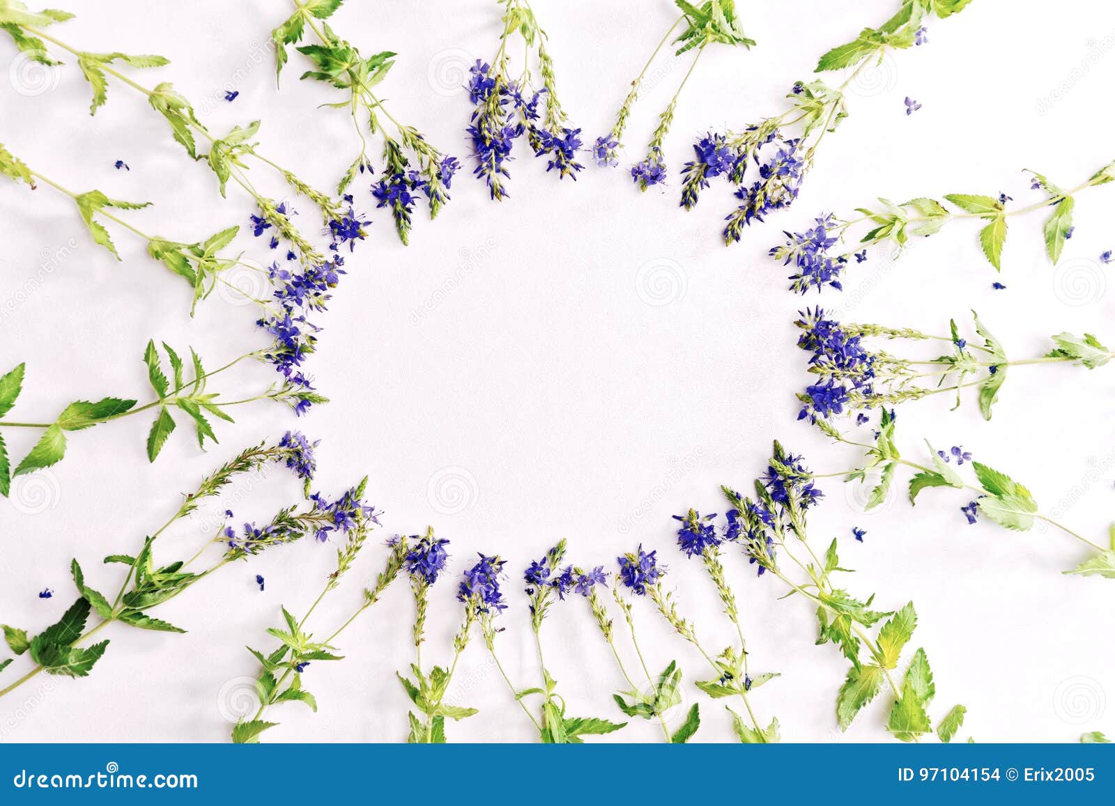 Circle Shape Frame with Violet Field Flowers Stock Photo - Image of ...