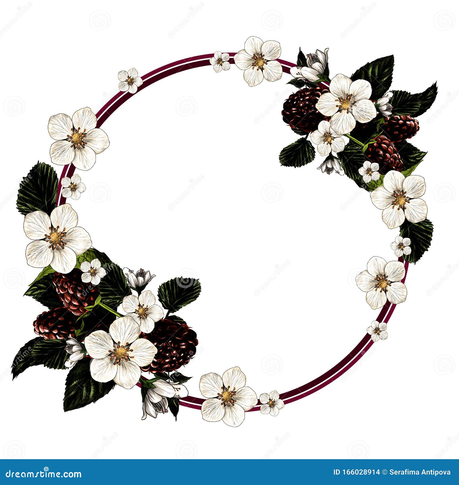 Circle Shaped Frame Surrounded by Raspberry Berries Leaves and Flowers ...