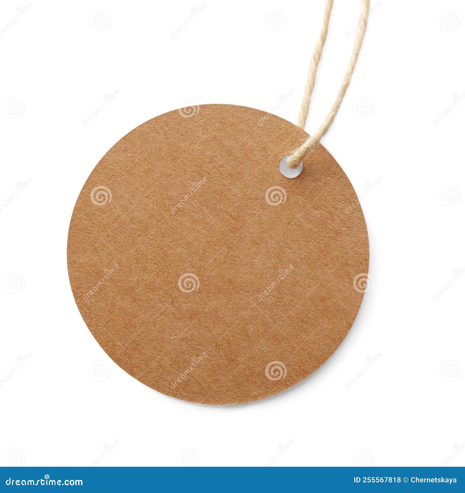 Circle Shaped Tag with Space for Text Isolated on White, Top View Stock ...
