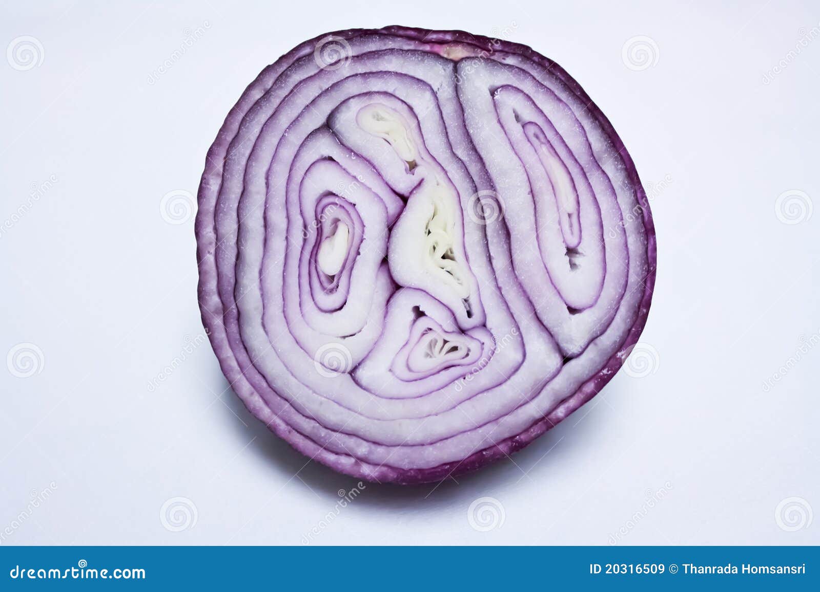 Circle of sphere onion stock image. Image of culinary - 20316509