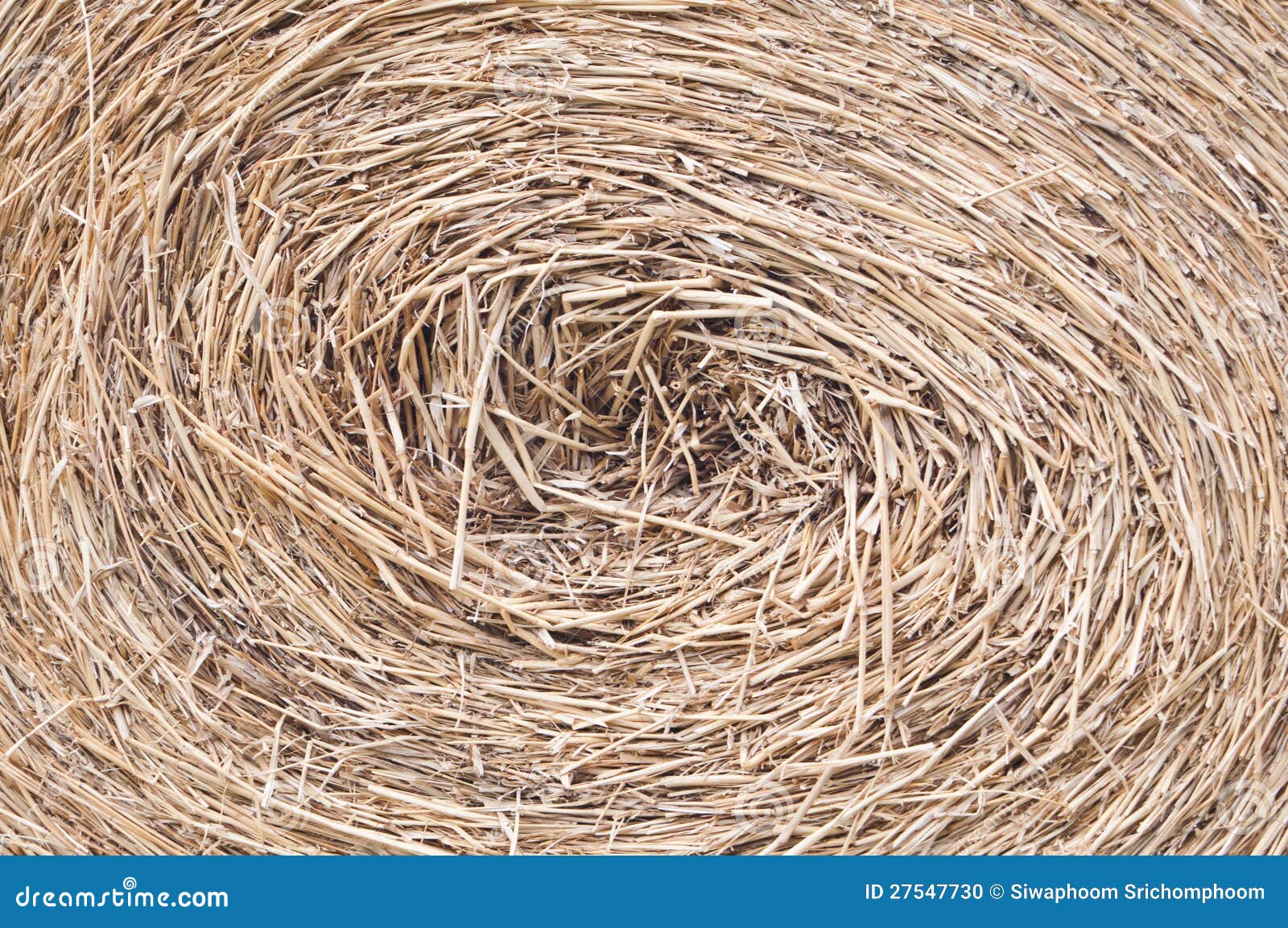 Circle of straw stock photo. Image of grain, agriculture - 27547730