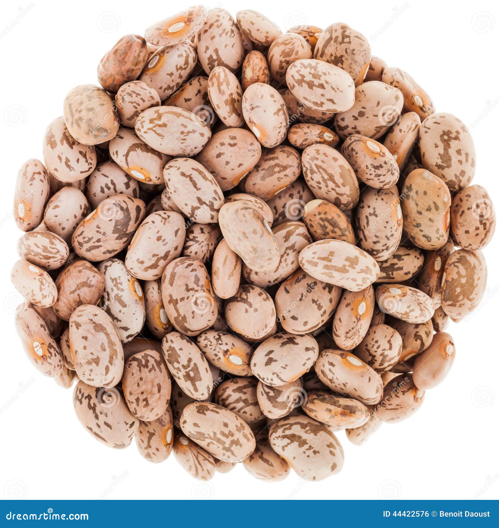 Circle Texture of Beige Big Beans Stock Photo - Image of grain, diet ...