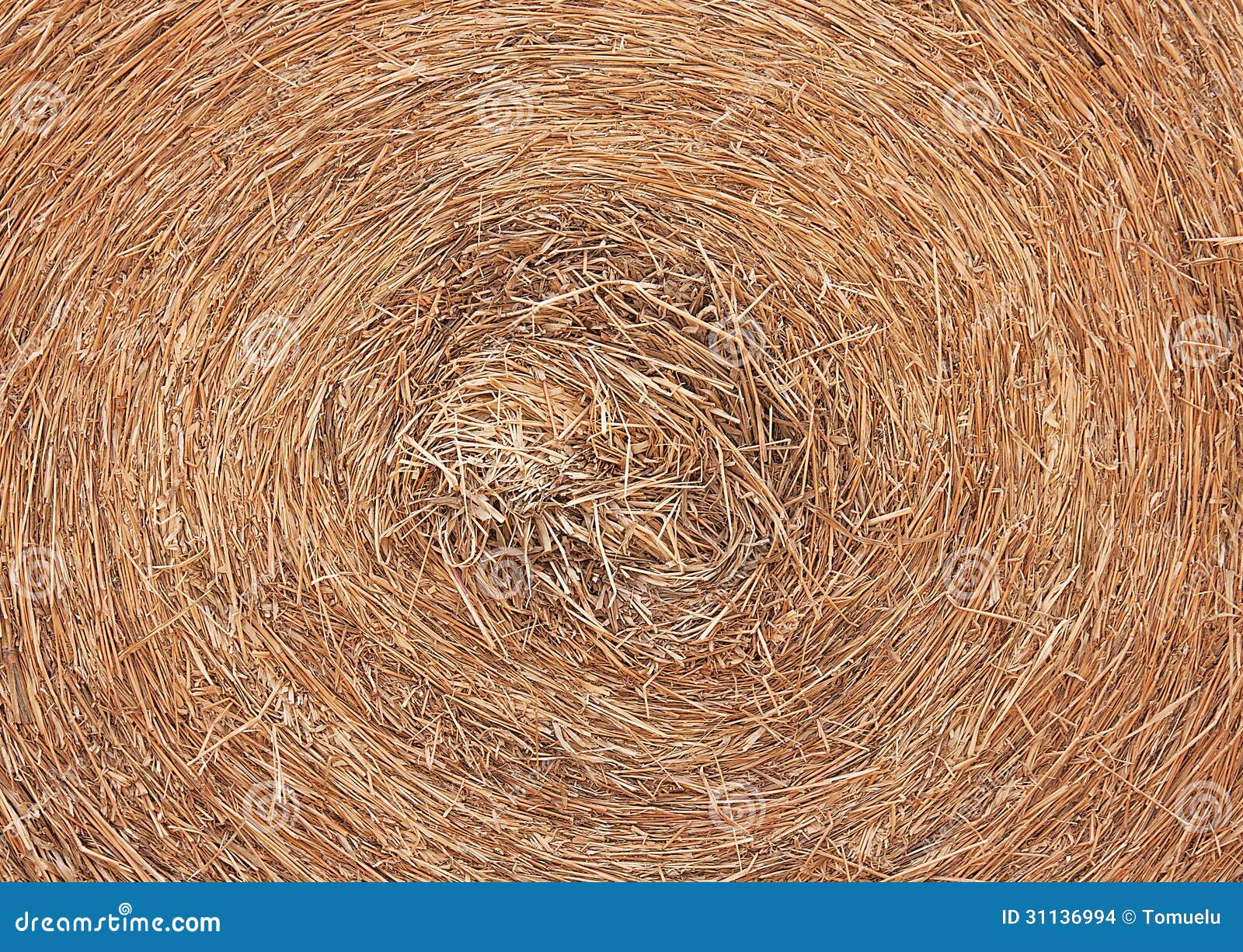 Circle thatch stock photo. Image of natural, circle, pattern - 31136994