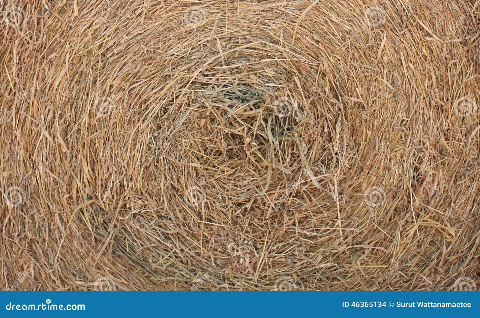 Circle Thatch Texture and Wallpaper Stock Photo - Image of cover ...