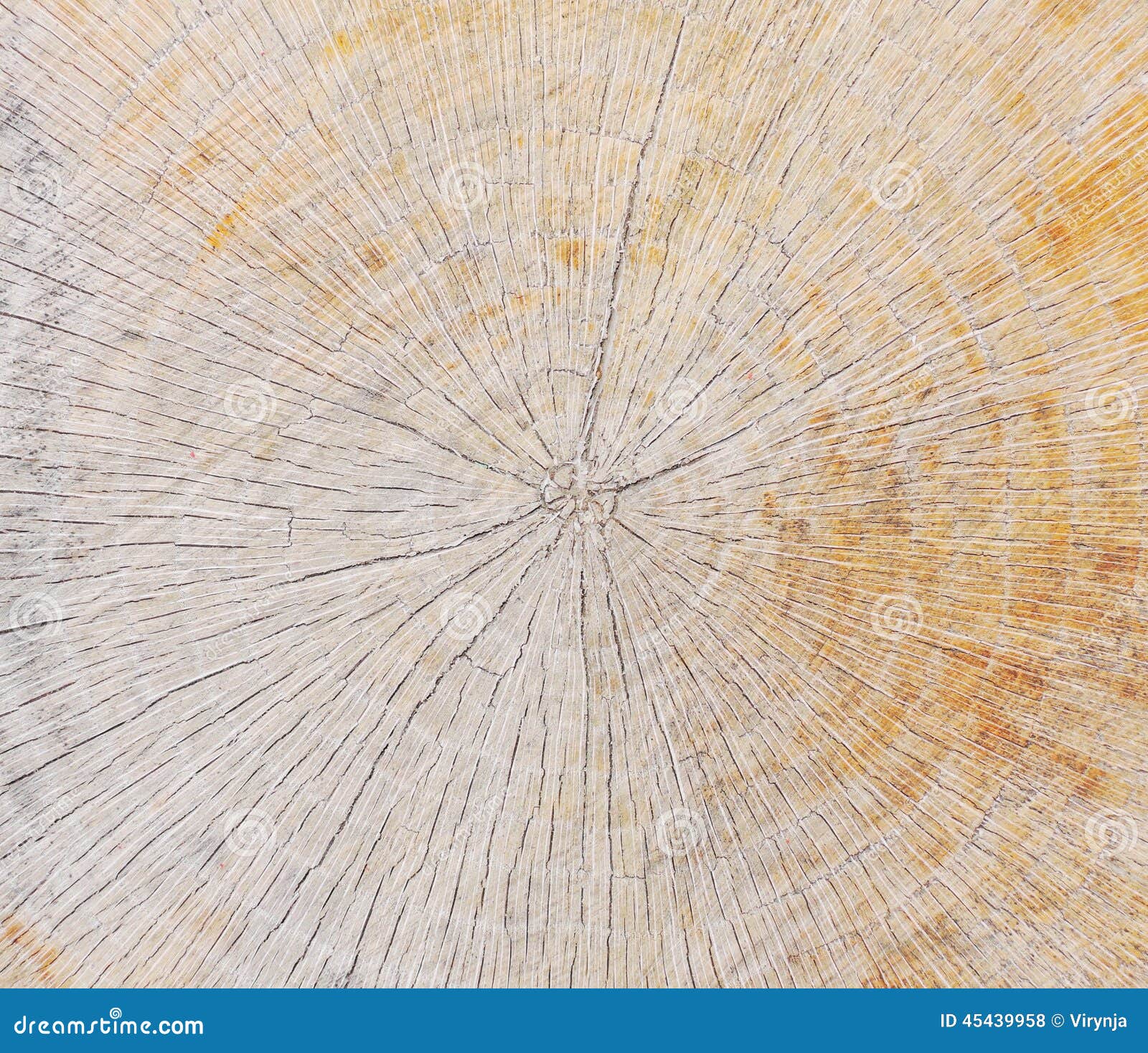 Circle Tree Border Royalty-Free Stock Photography | CartoonDealer.com ...