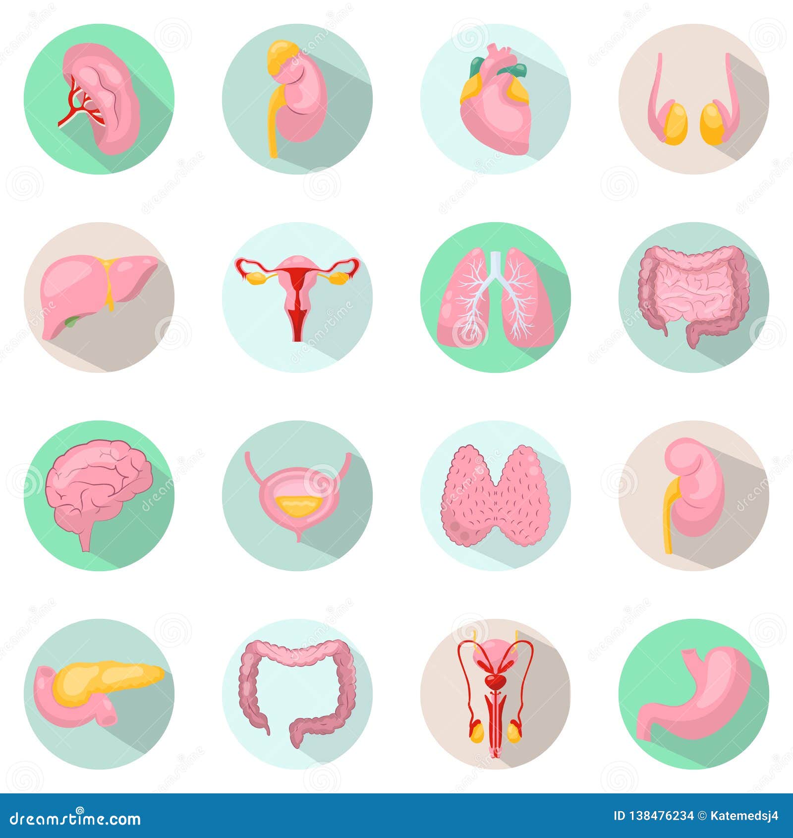 Circle Vector Icons of Human Organs Stock Vector - Illustration of ...