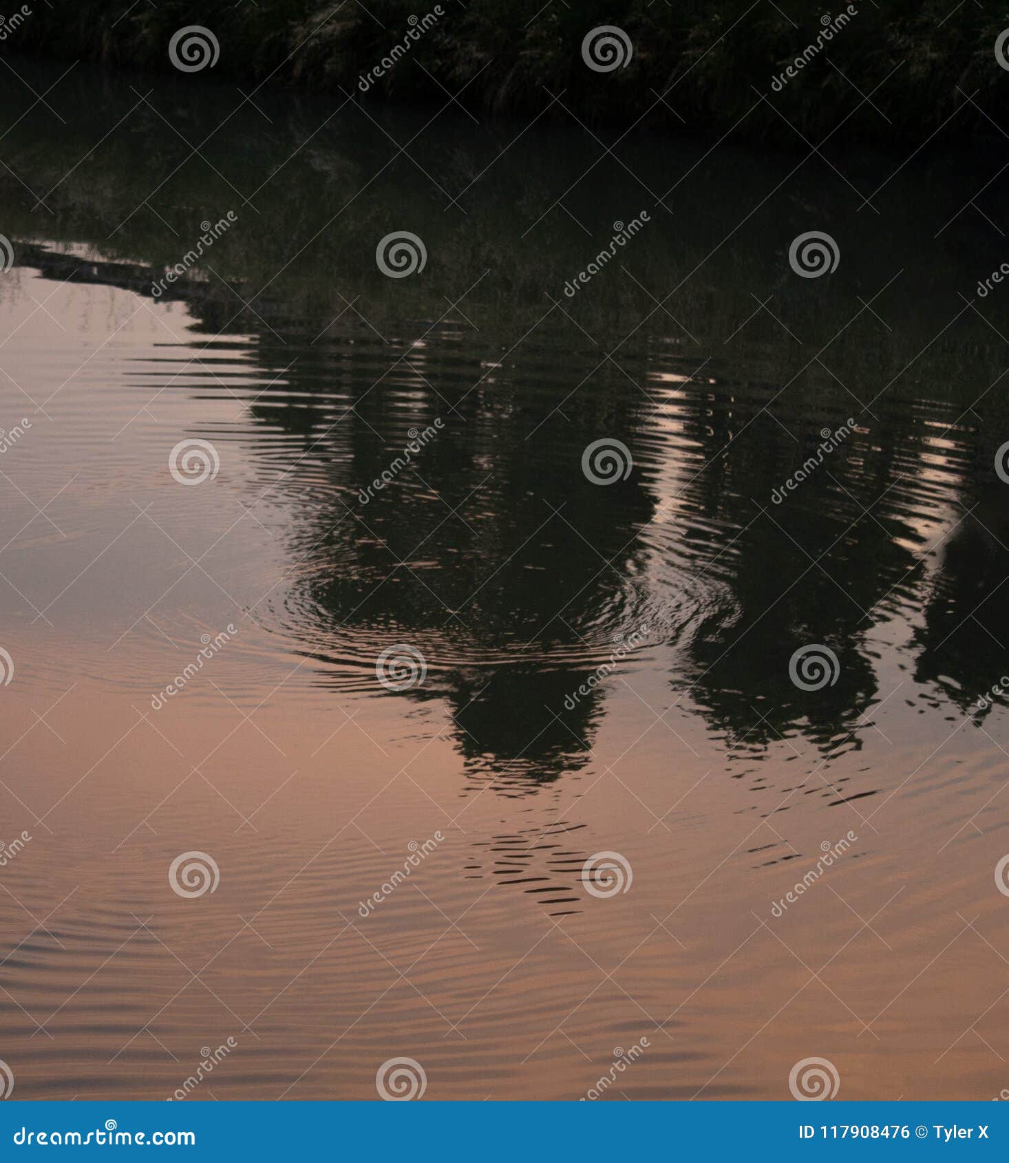 Circle in the water stock photo. Image of river, water - 117908476