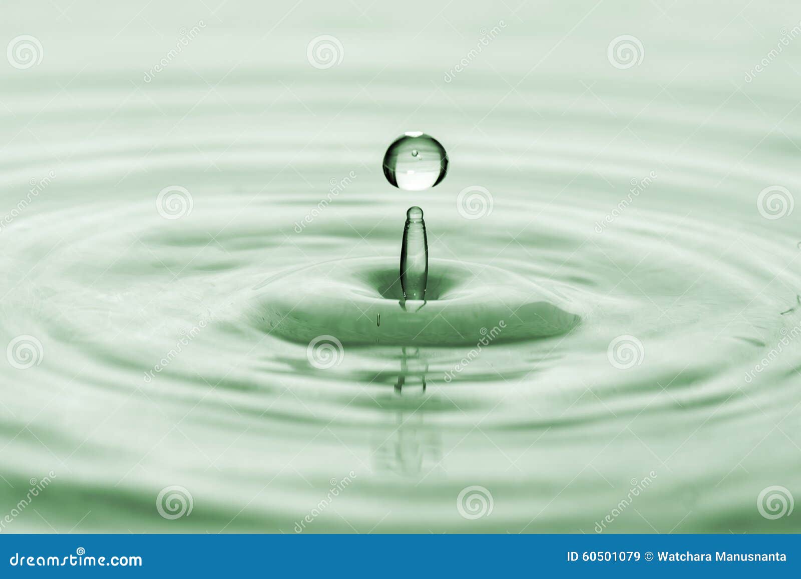 Circle water drop stock image. Image of spread, splash - 60501079